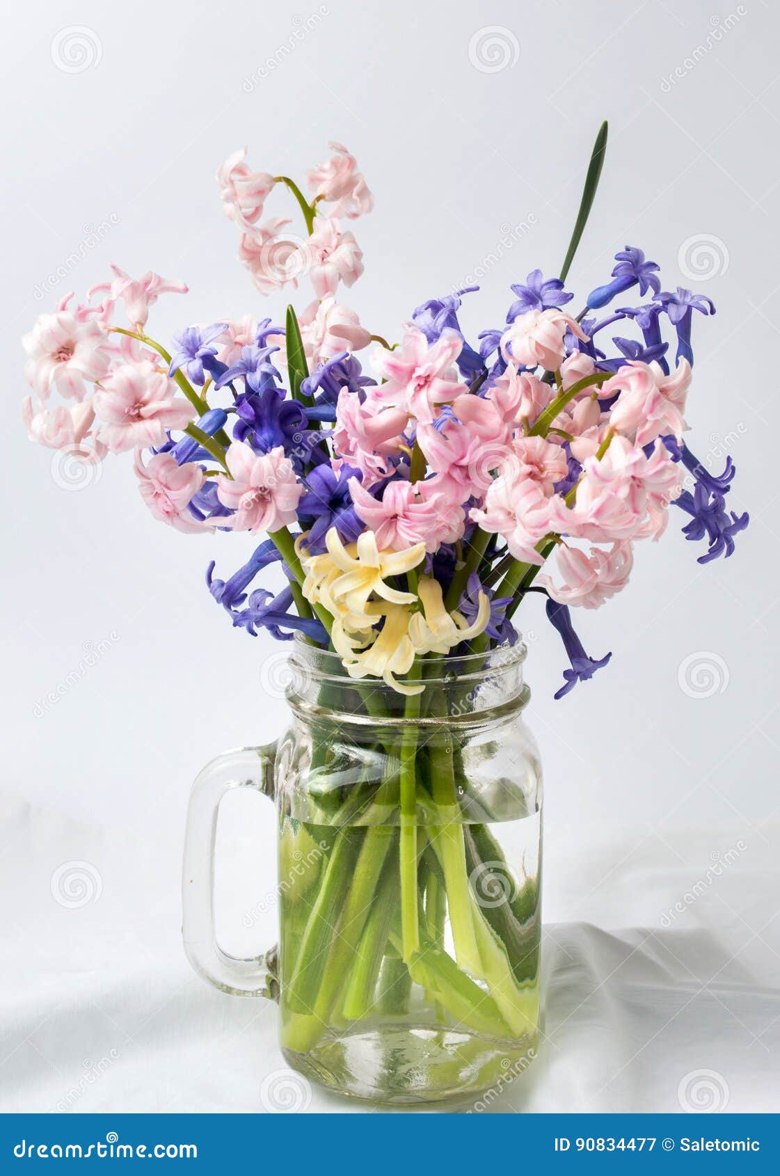 Different Hyacinth Flowers in Glass Jar Stock Image - Image of flower ...