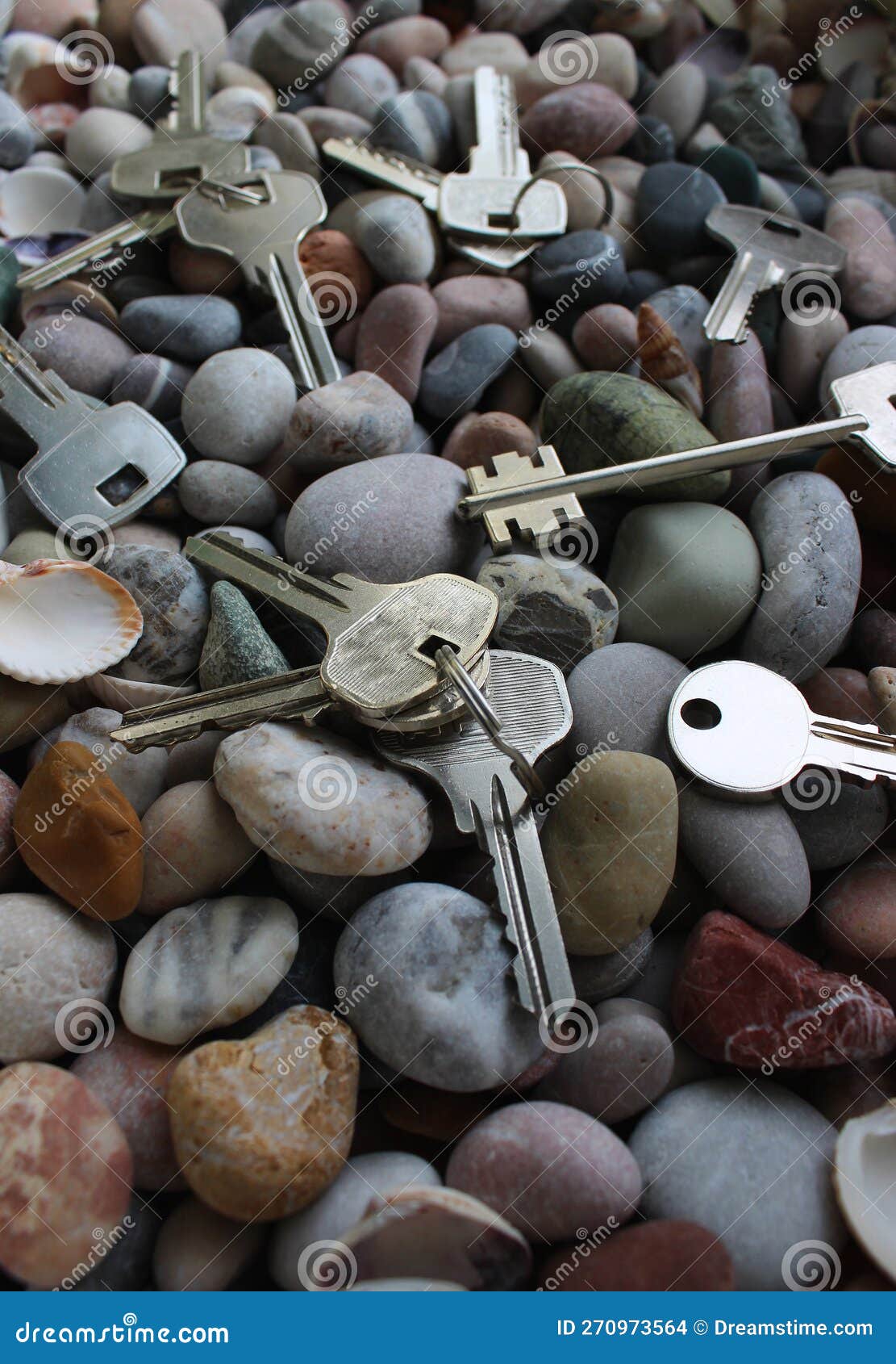 Different Keys on Rings and Separately on Colored Stones and Seashells ...