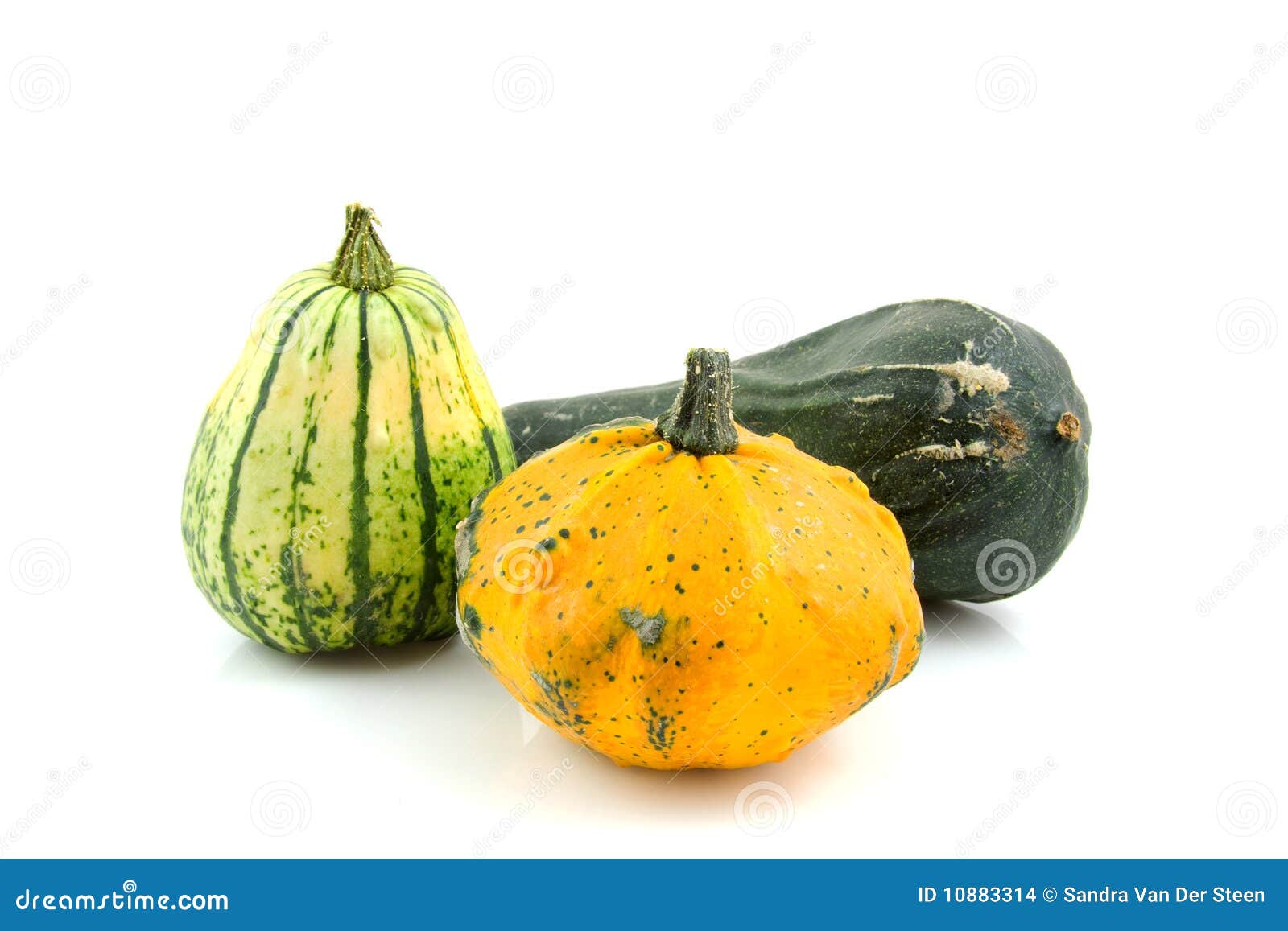 Different kind of gourds stock photo. Image of fruits - 10883314