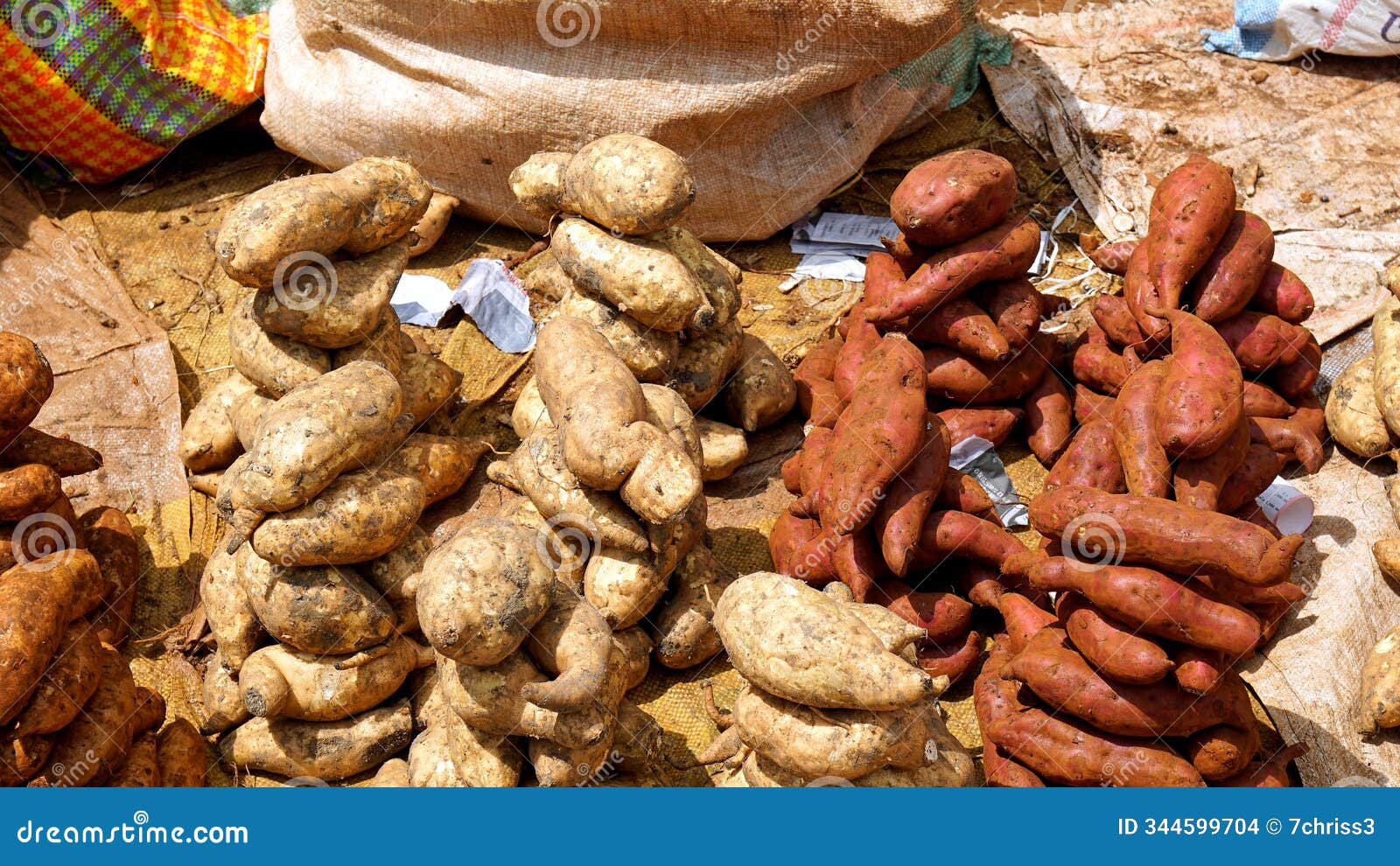 Different Kind Potatoes on a Farmer Market Stock Photo - Image of ...
