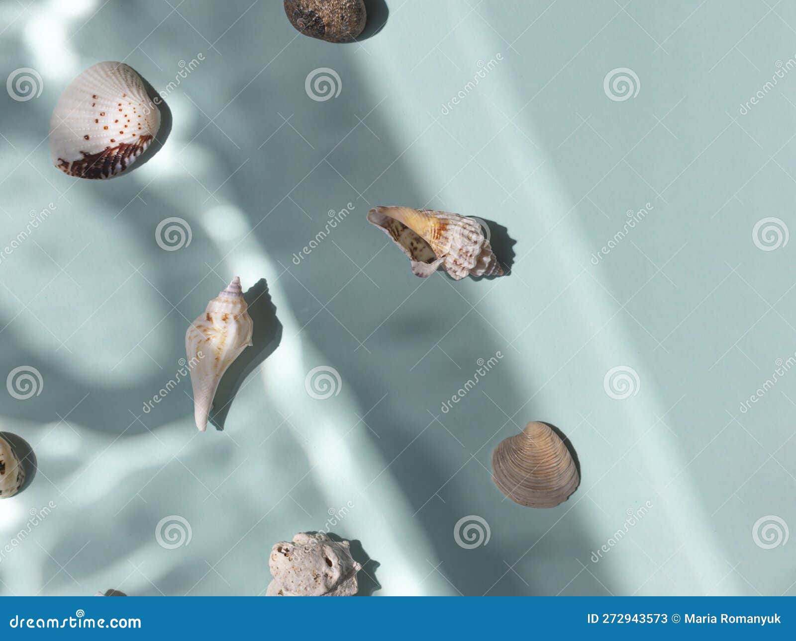 Different Kind of Seashells on the Blue Background with Underwater ...