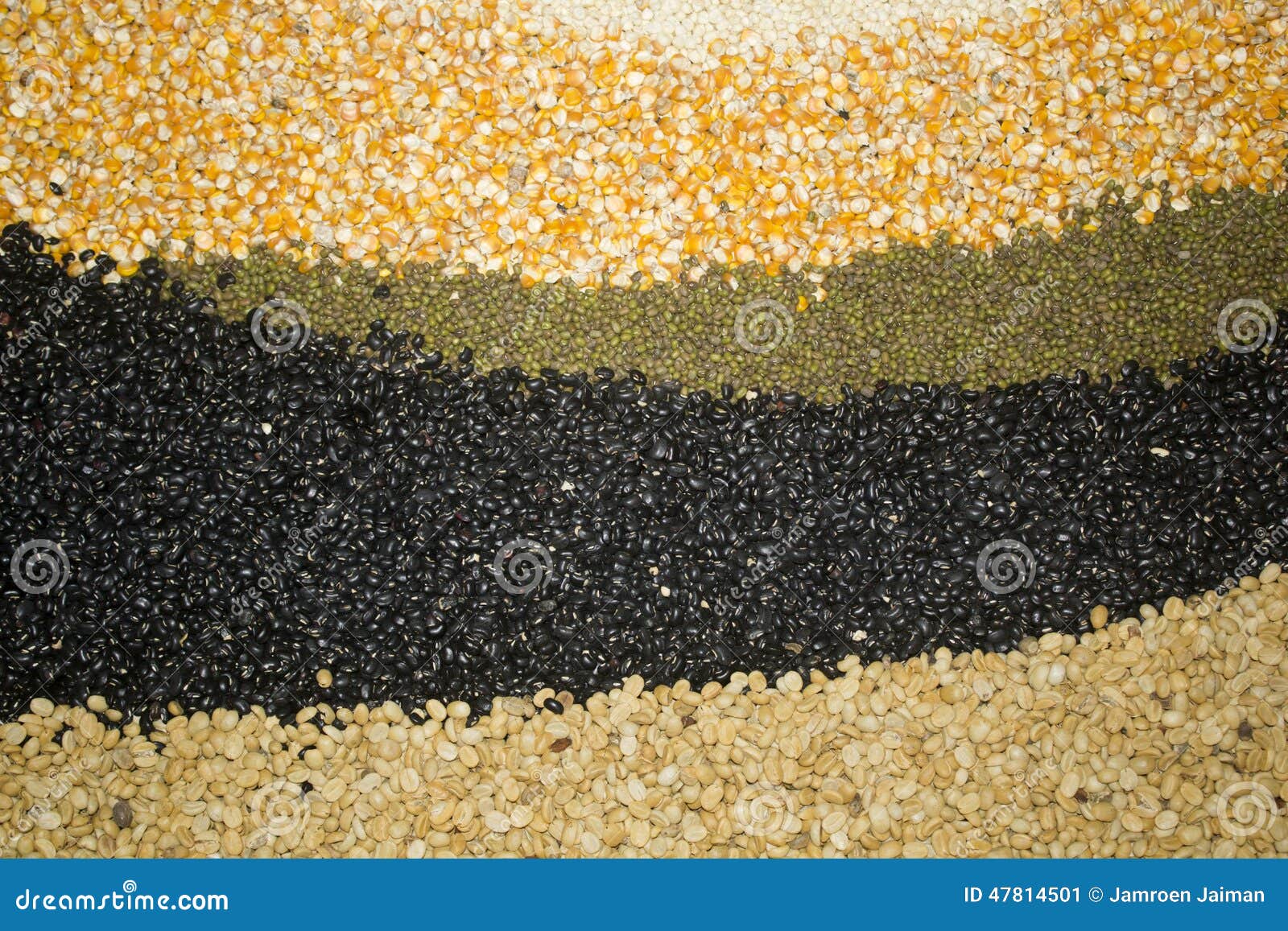 Different Kinds of Bean Seeds Stock Image - Image of legume, pattern ...