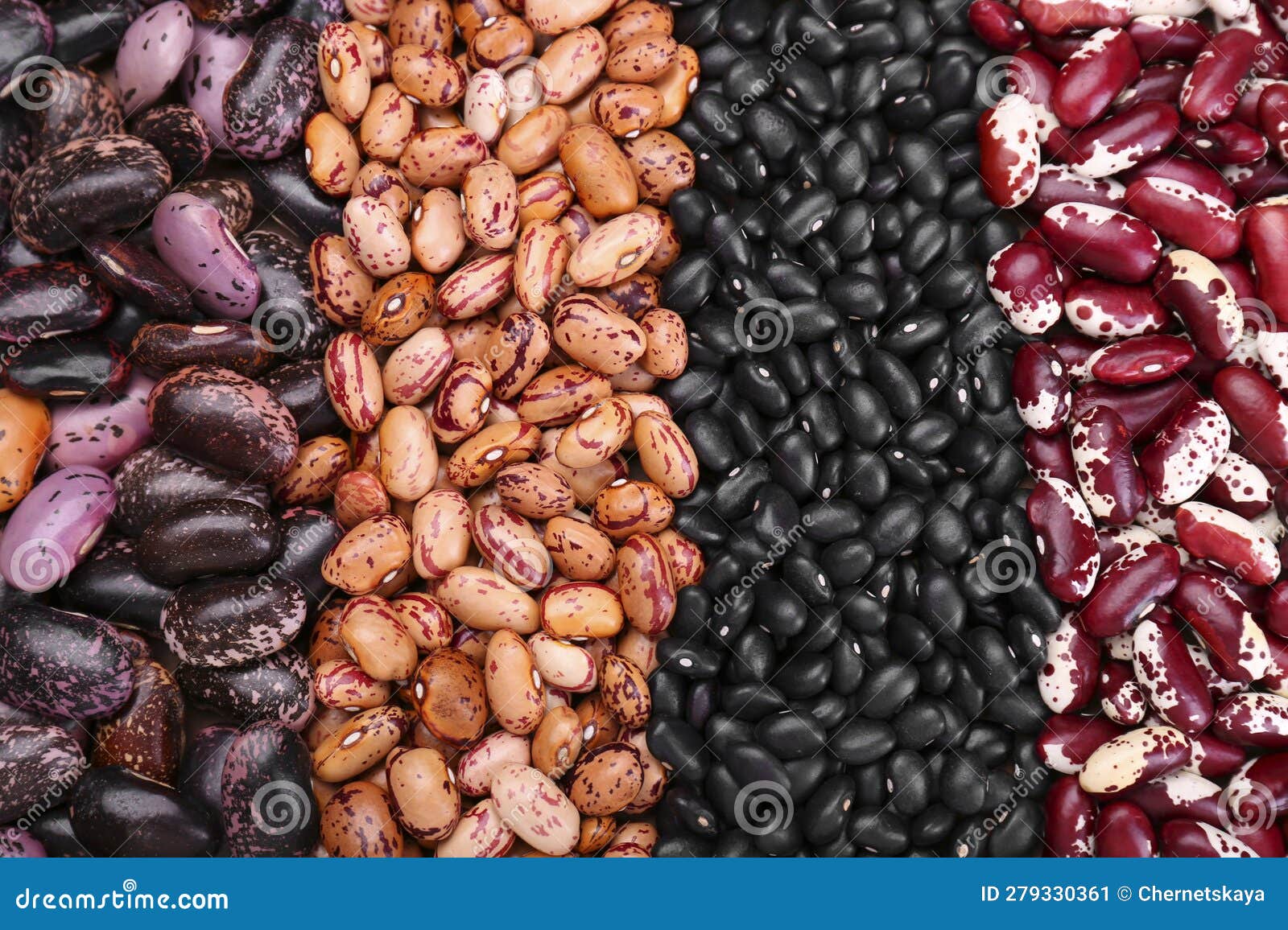 Different Kinds of Beans As Background, Closeup Stock Image - Image of ...