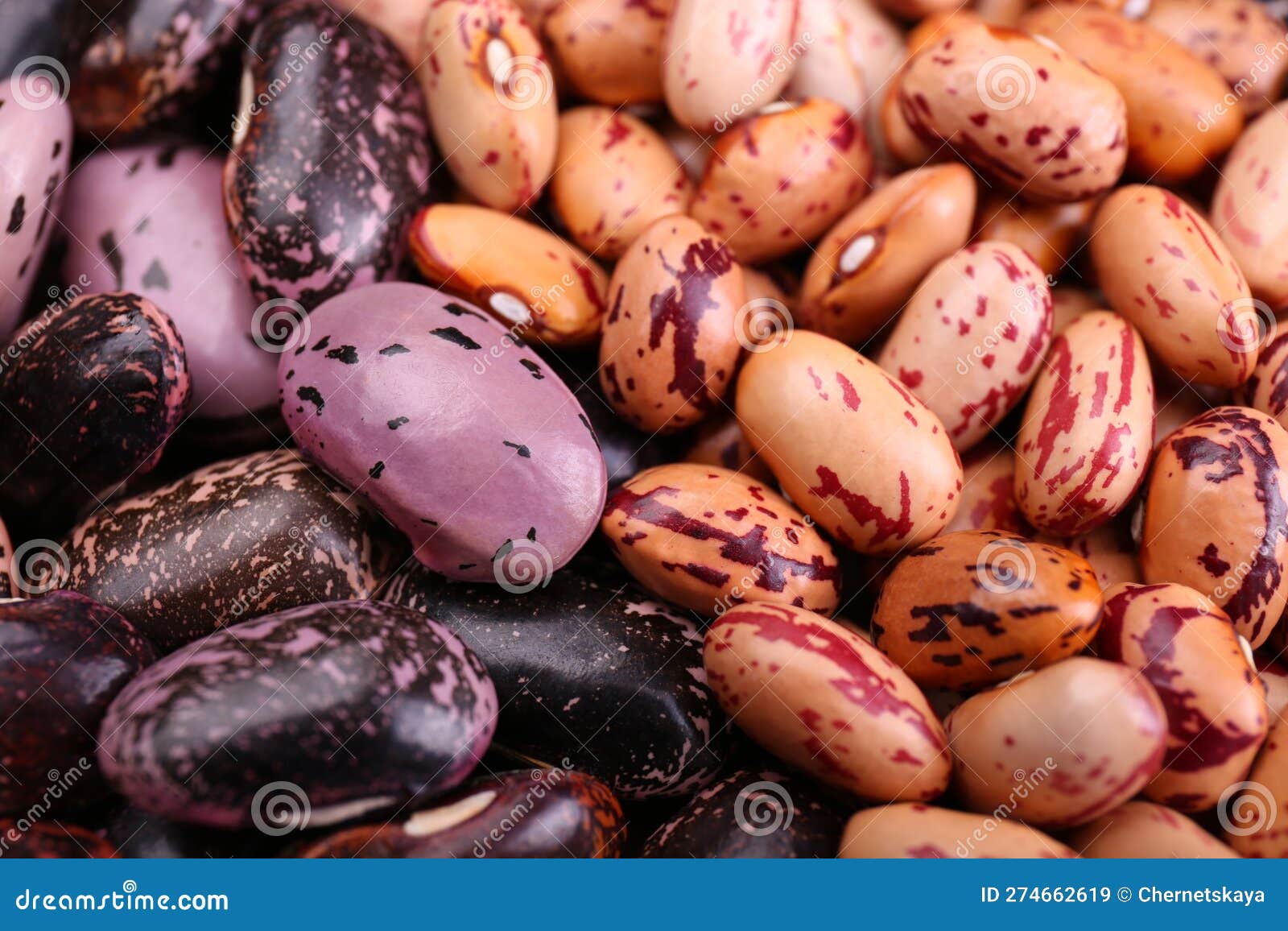 Different Kinds of Beans As Background, Closeup Stock Image - Image of ...