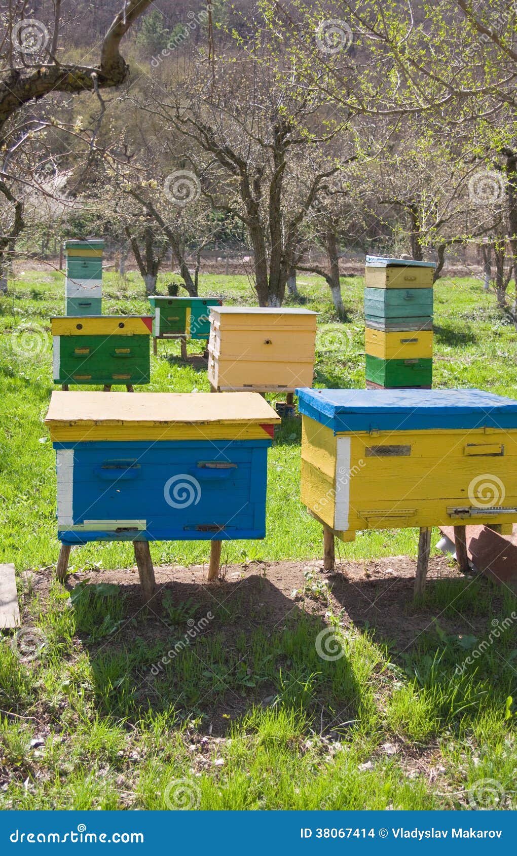 Different Kinds of Beehives Stock Photo - Image of grass, shadow: 38067414