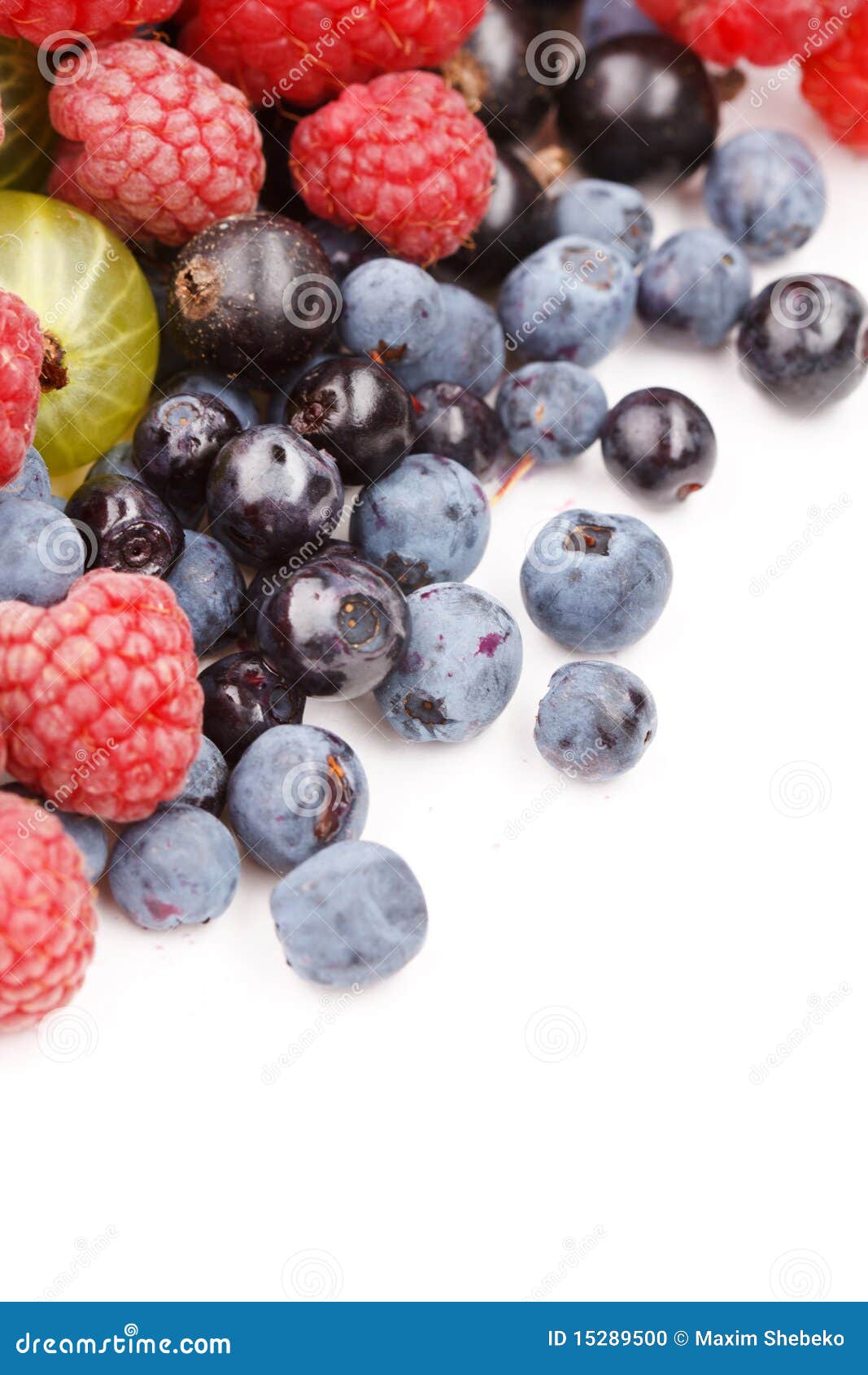 Different kinds of berries stock photo. Image of fresh - 15289500