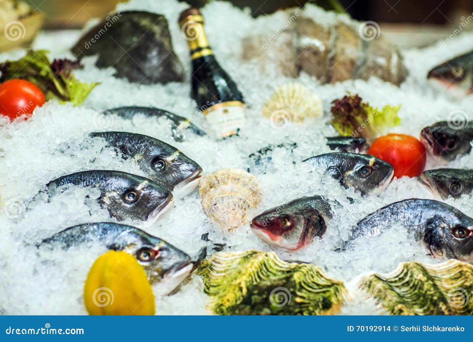 Different Kinds of Fish on Ice with Fresh Vegetables. Stock Photo ...