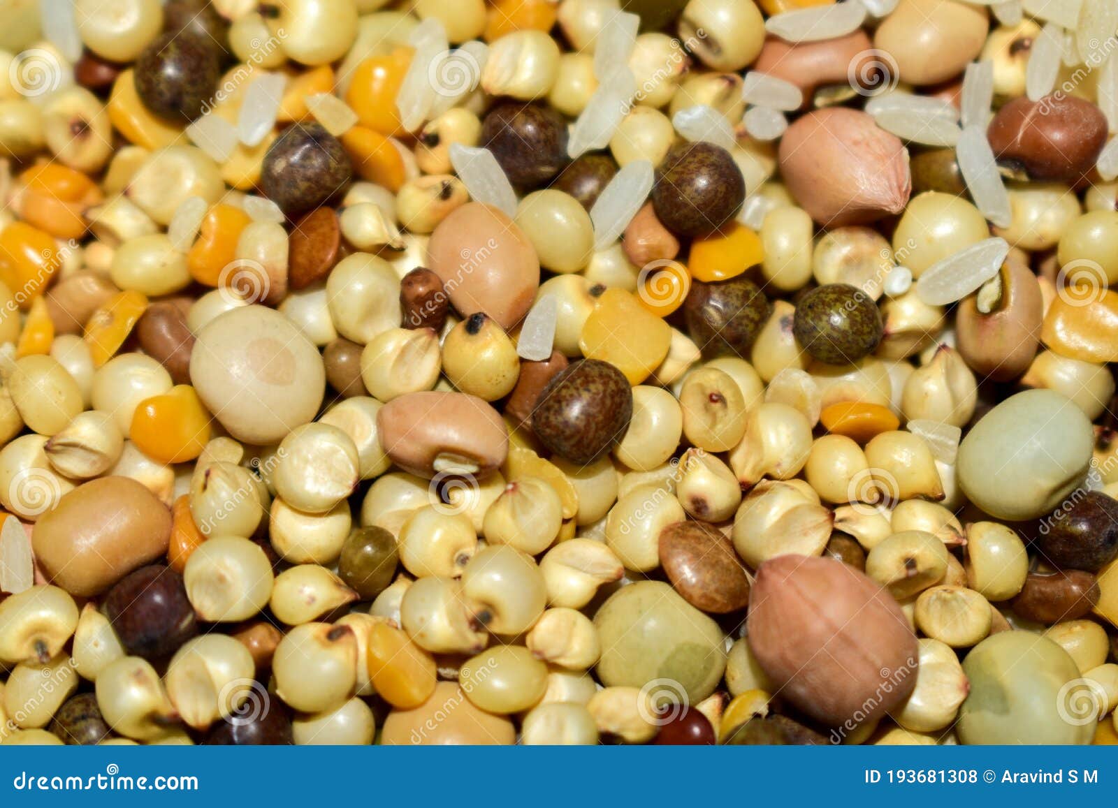 Different Kinds of Grains Mixed . Mixture of Wheat,rice,maize Etc Stock ...