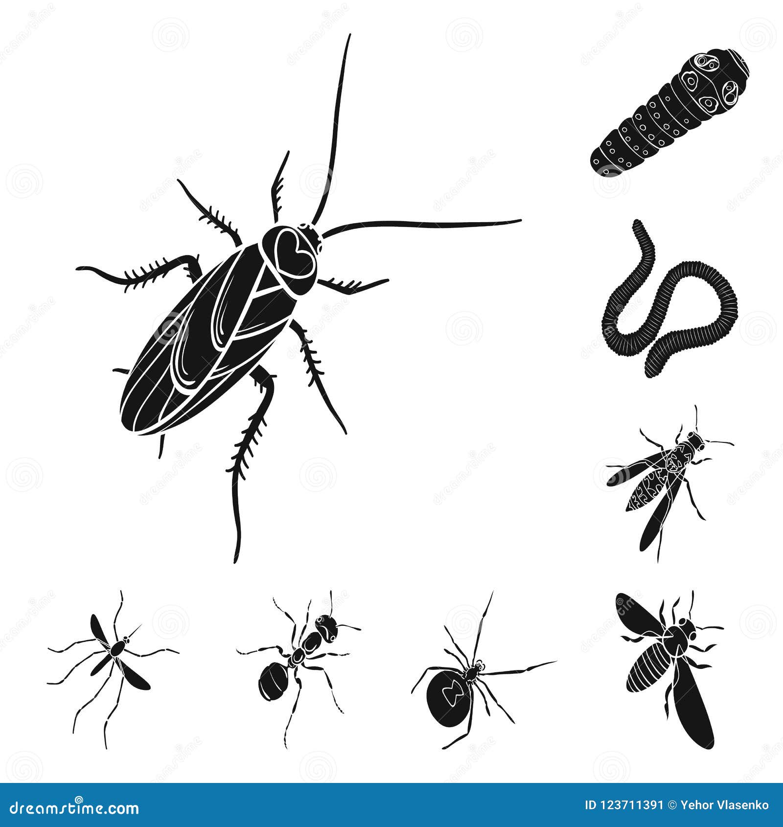 Different Kinds of Insects Black Icons in Set Collection for Design ...
