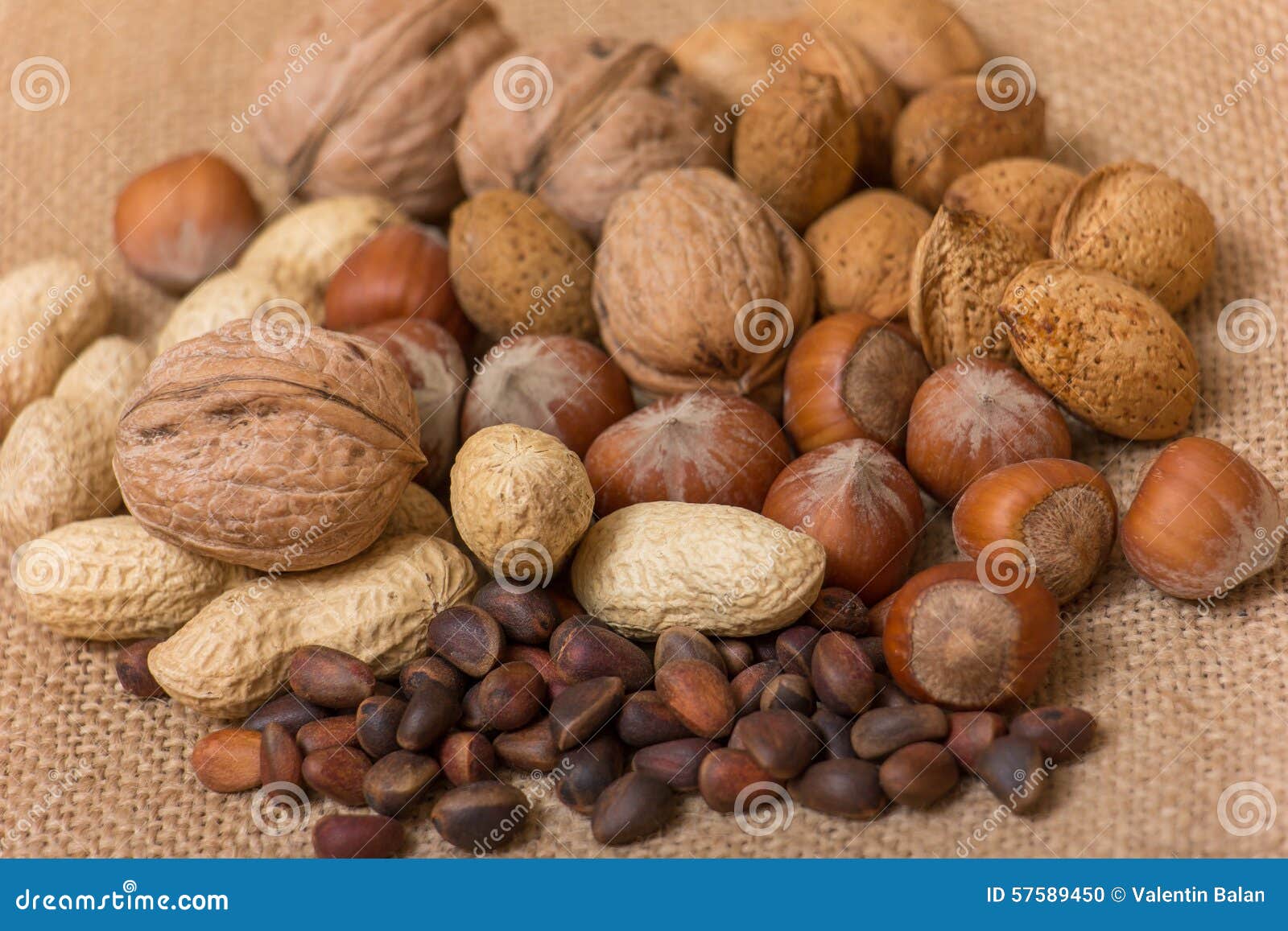 Different kinds of nuts stock photo. Image of food, vegetarian - 57589450