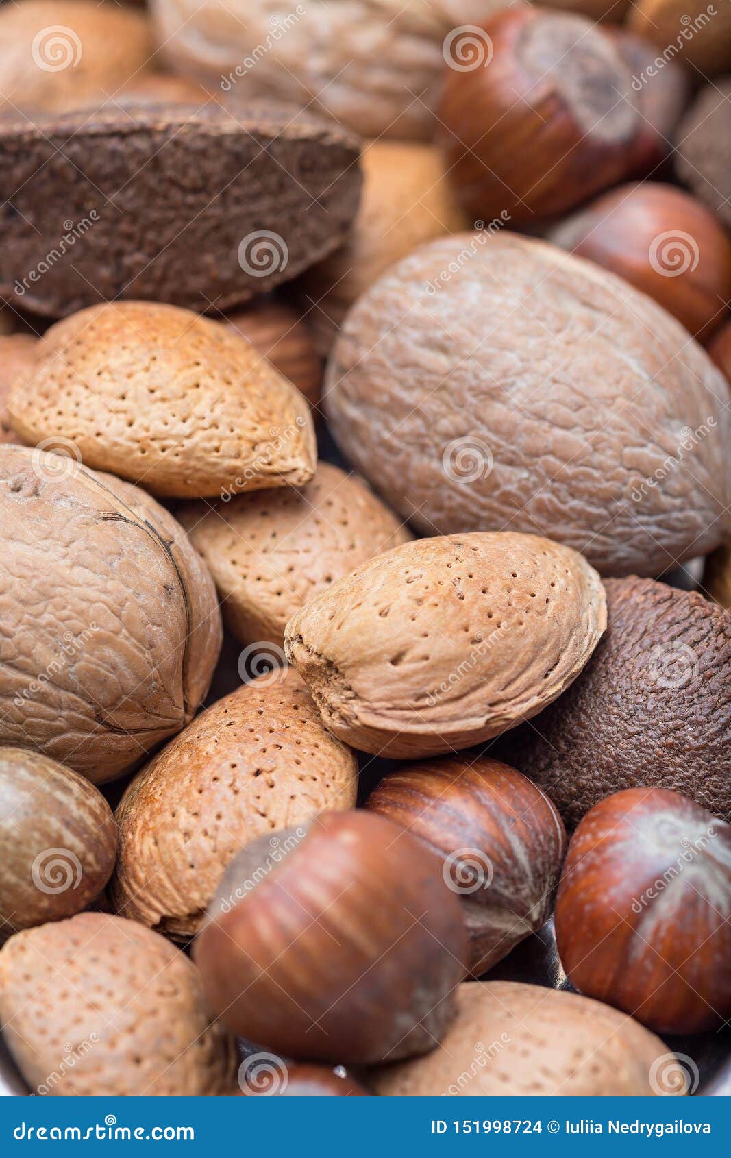Different Kinds of Nuts in Shell, Hazelnut, Walnut, Almond and Brazil ...