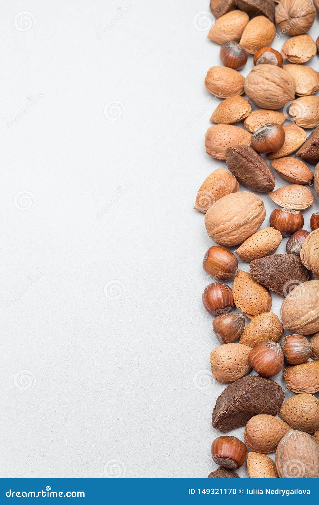 Different Kinds of Nuts in the Shell, Hazelnut, Walnut, Almond and ...