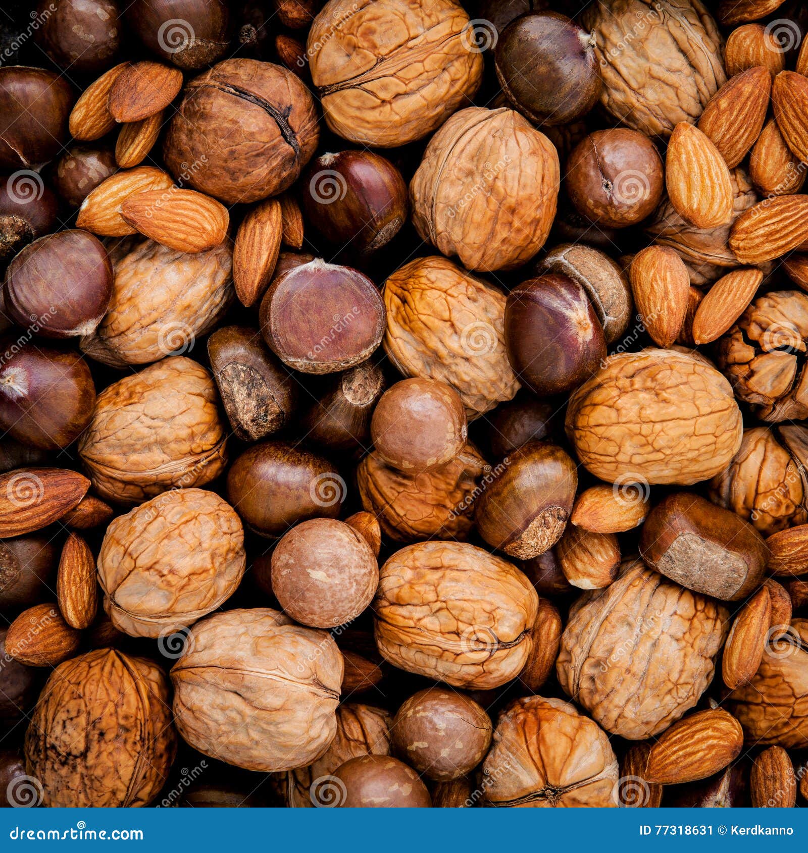 Different Kinds of Nuts in Shells ,cashew, Almond, Walnut,hazelnuts ...