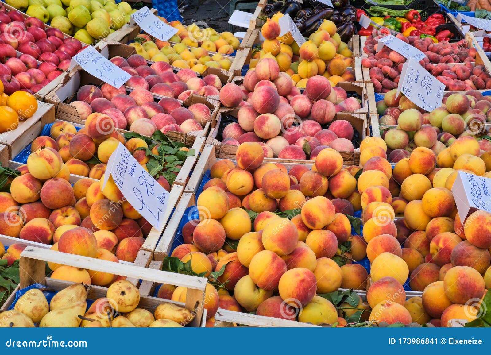 Different kinds of peaches stock image. Image of nutrition - 173986841
