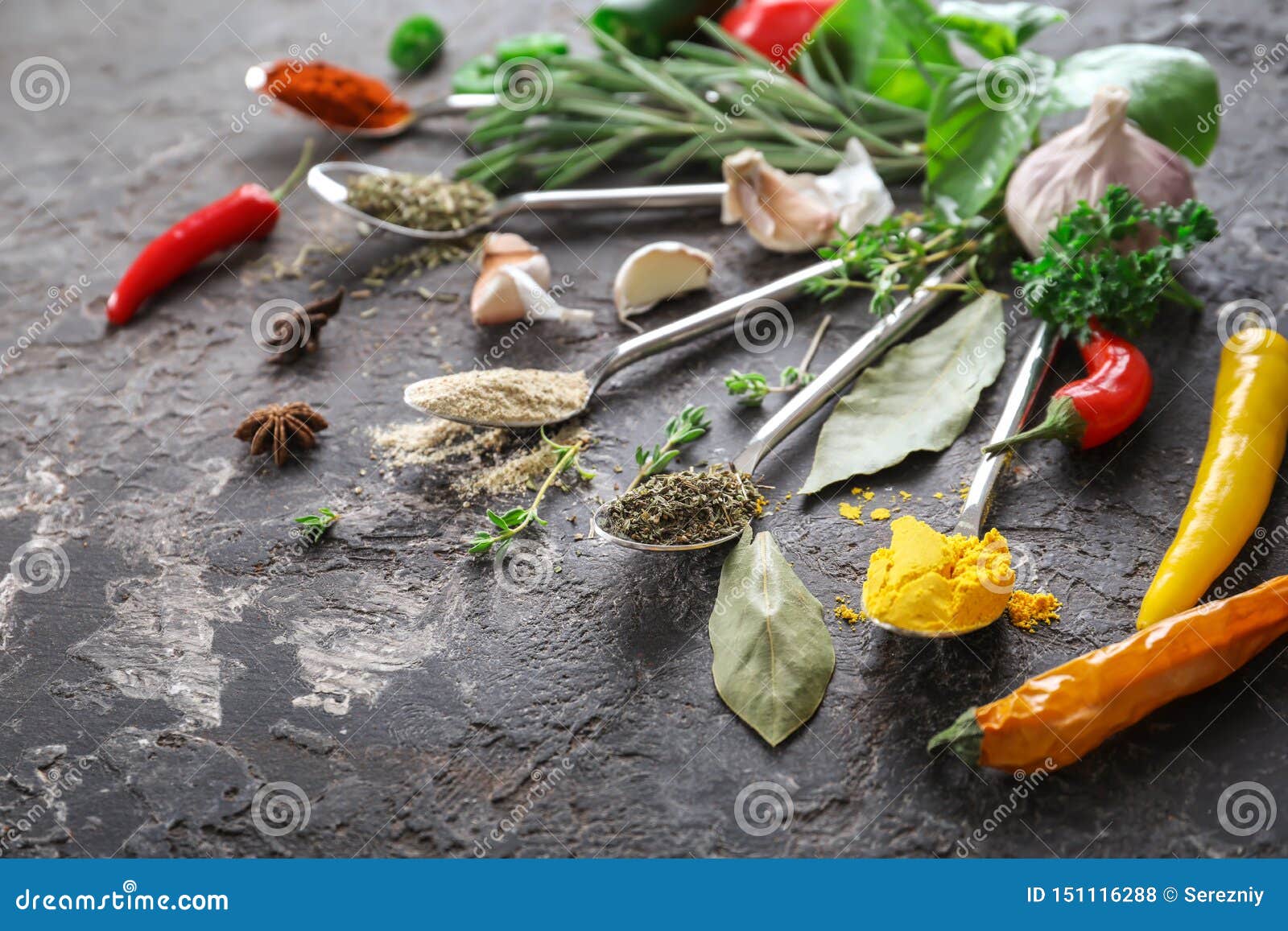 Different Kinds of Spices with Herbs on Grey Background Stock Photo ...