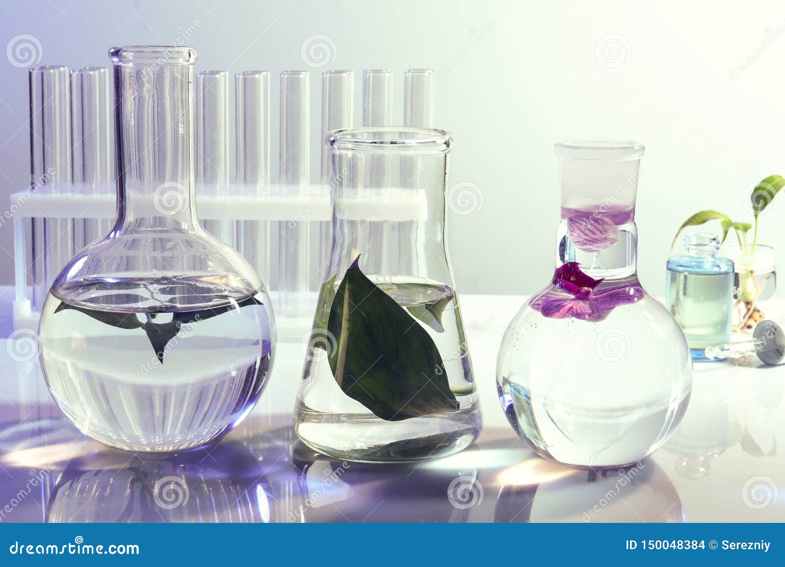 Different Laboratory Glassware with Plants on Table Stock Photo - Image ...