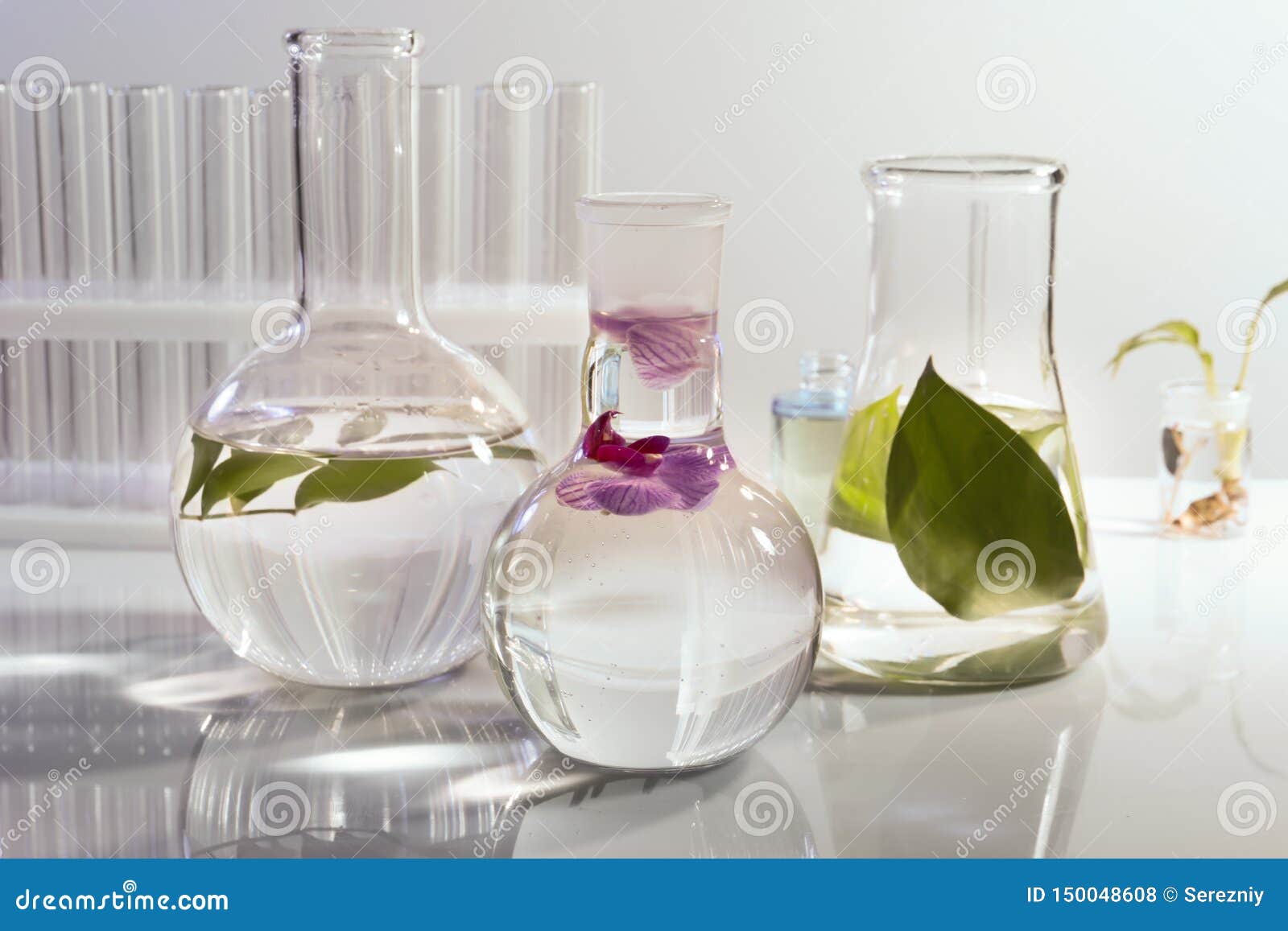 Different Laboratory Glassware with Plants on Table Stock Photo - Image ...