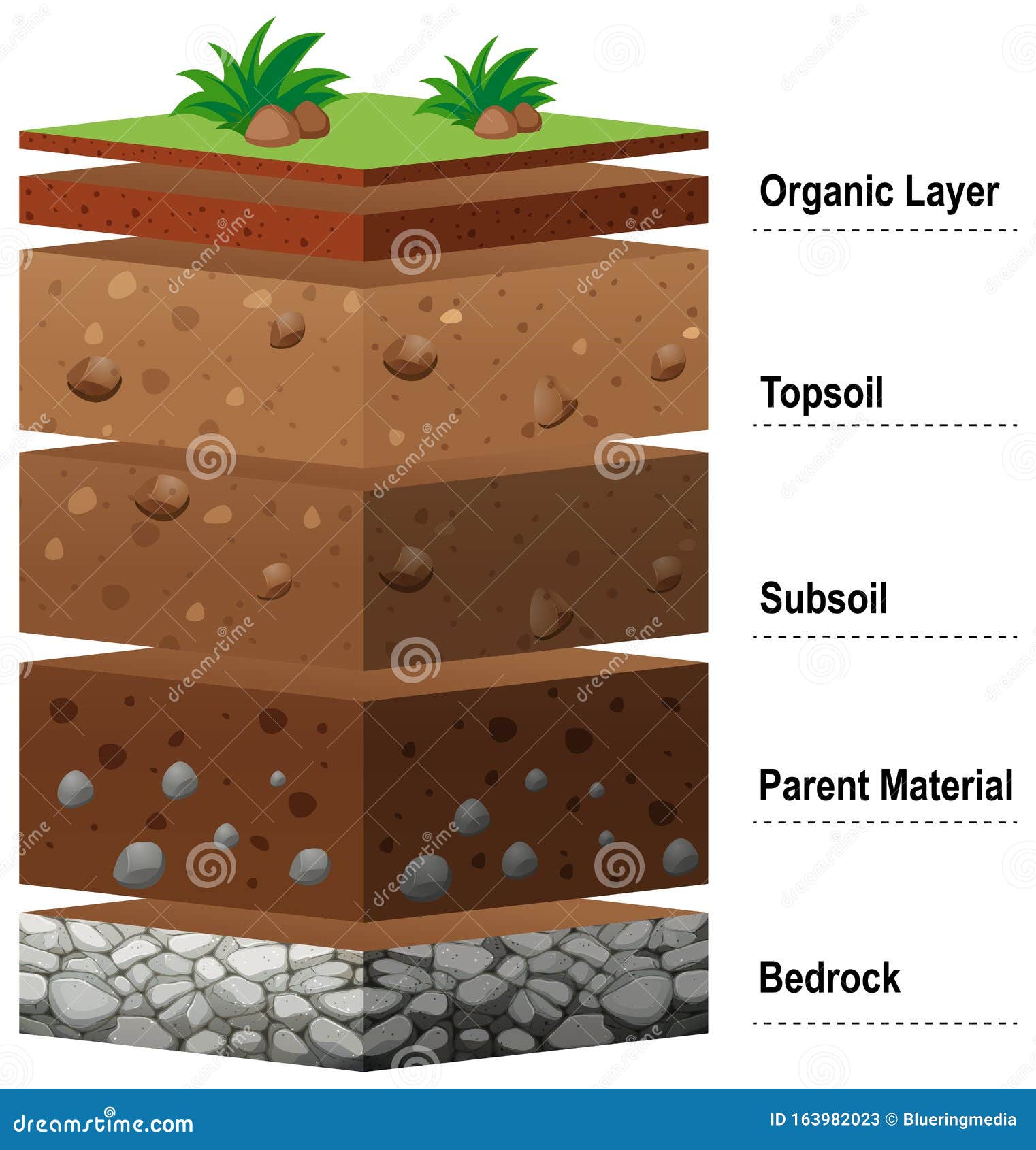Different Layers of Soil on Earth Stock Vector - Illustration of nature ...