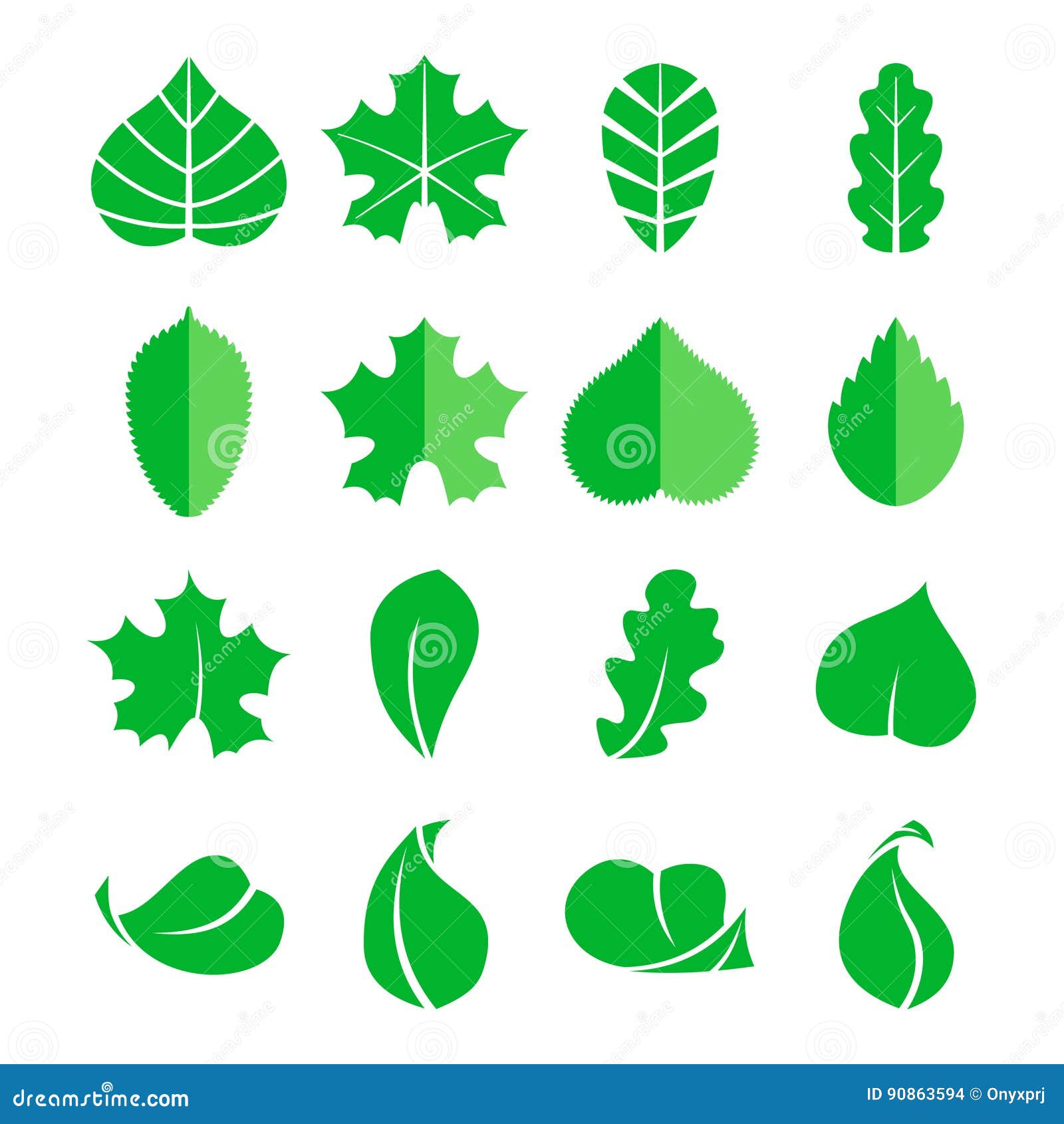 Different Leaf Shapes Lance-shaped, Ovate, Elliptic, Cordate, Round ...