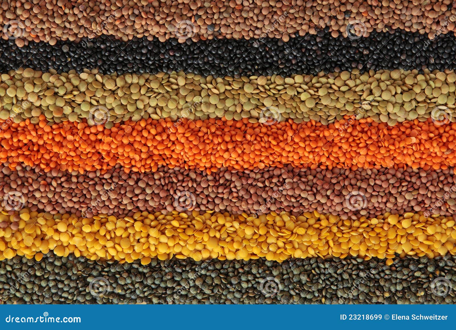 Different lentils stock image. Image of split, pile, collection - 23218699