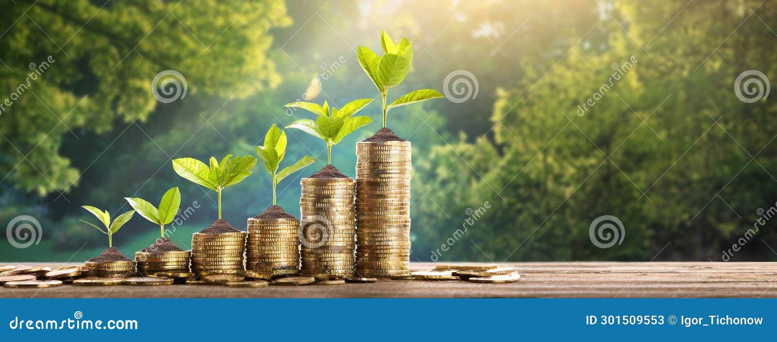 Different Level of Coin Stack with Young Seedling Growing on Top ...