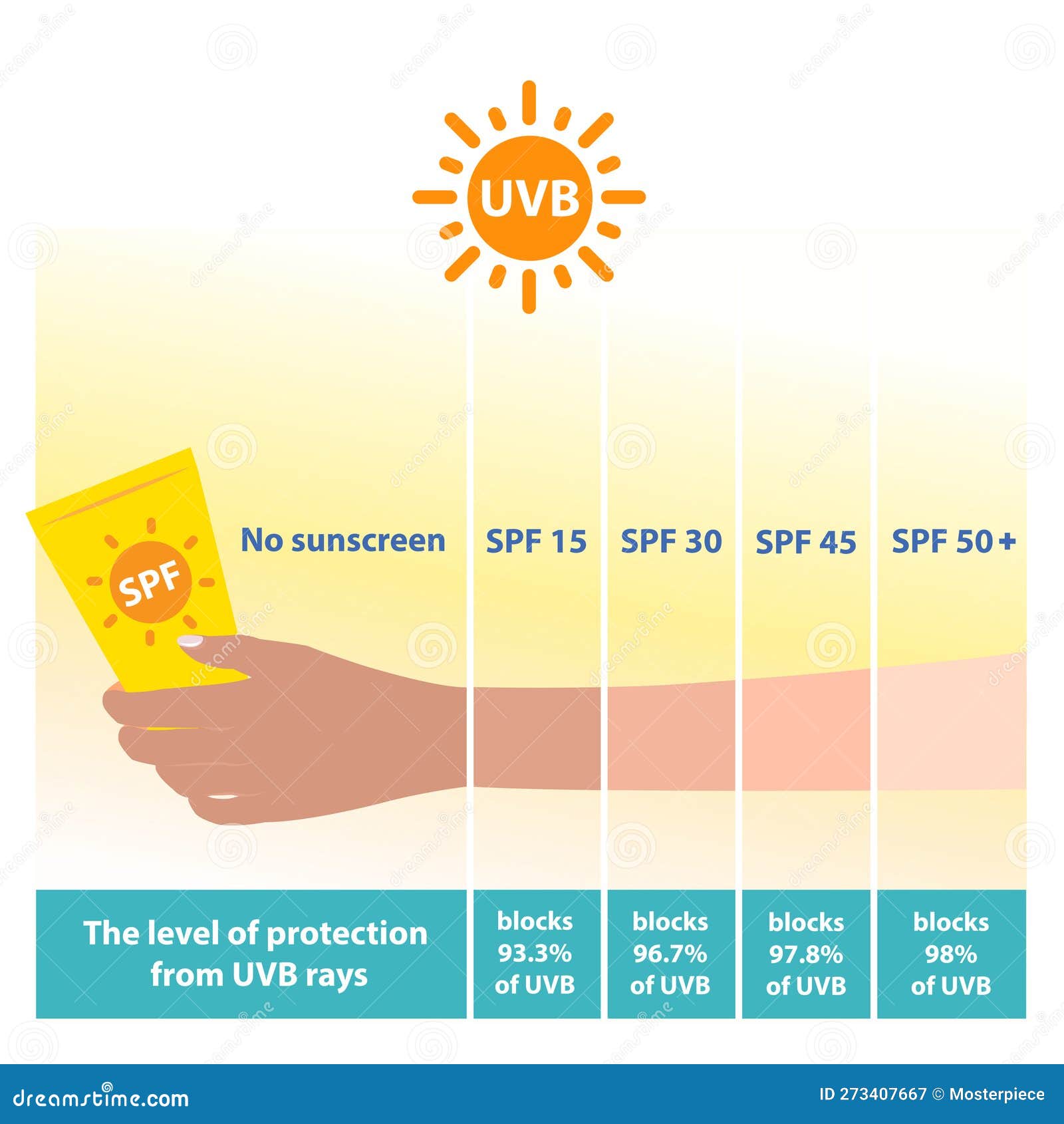 The Different Level of SPF Sunscreen Vector Illustration on White ...