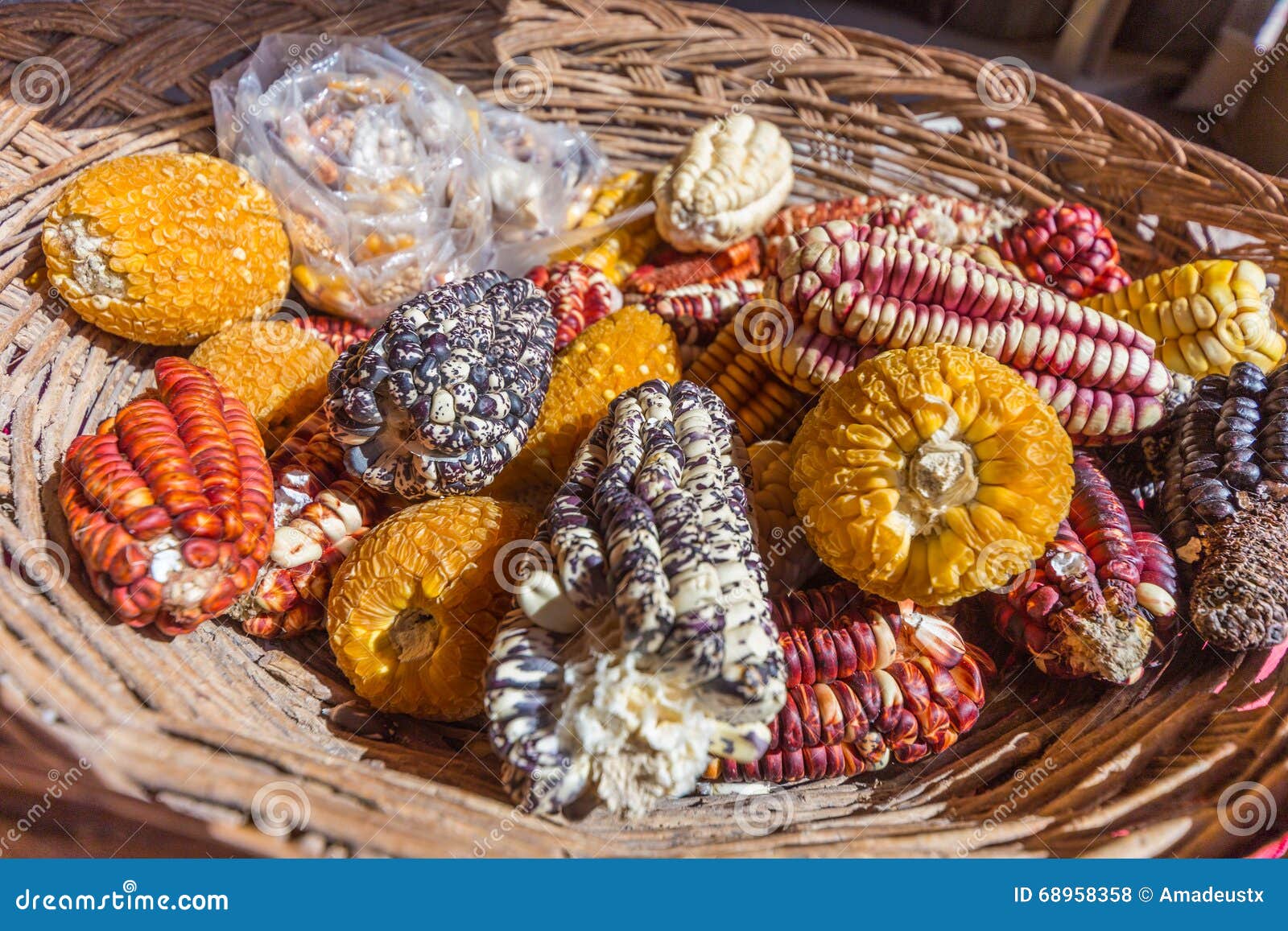 Different Maize and Corn Types in the Basket Stock Photo - Image of ...