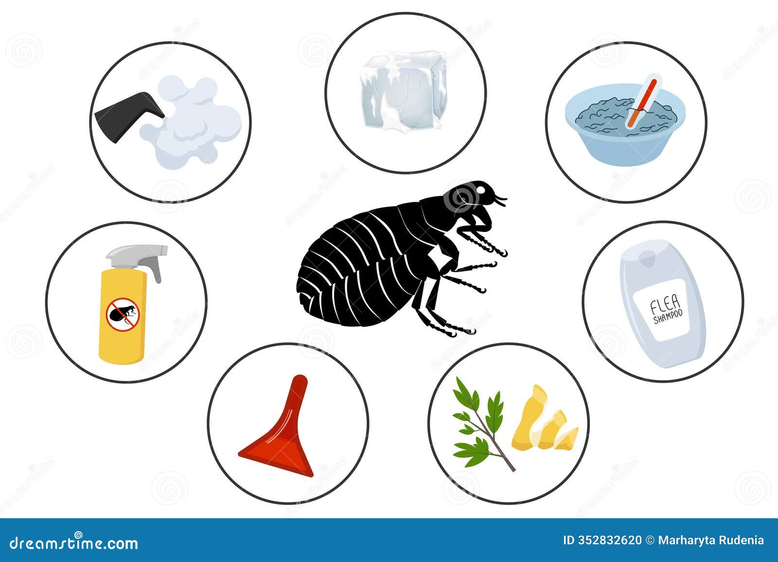 How To Get Rid of Fleas, Infographic with Effective Remedies Against ...