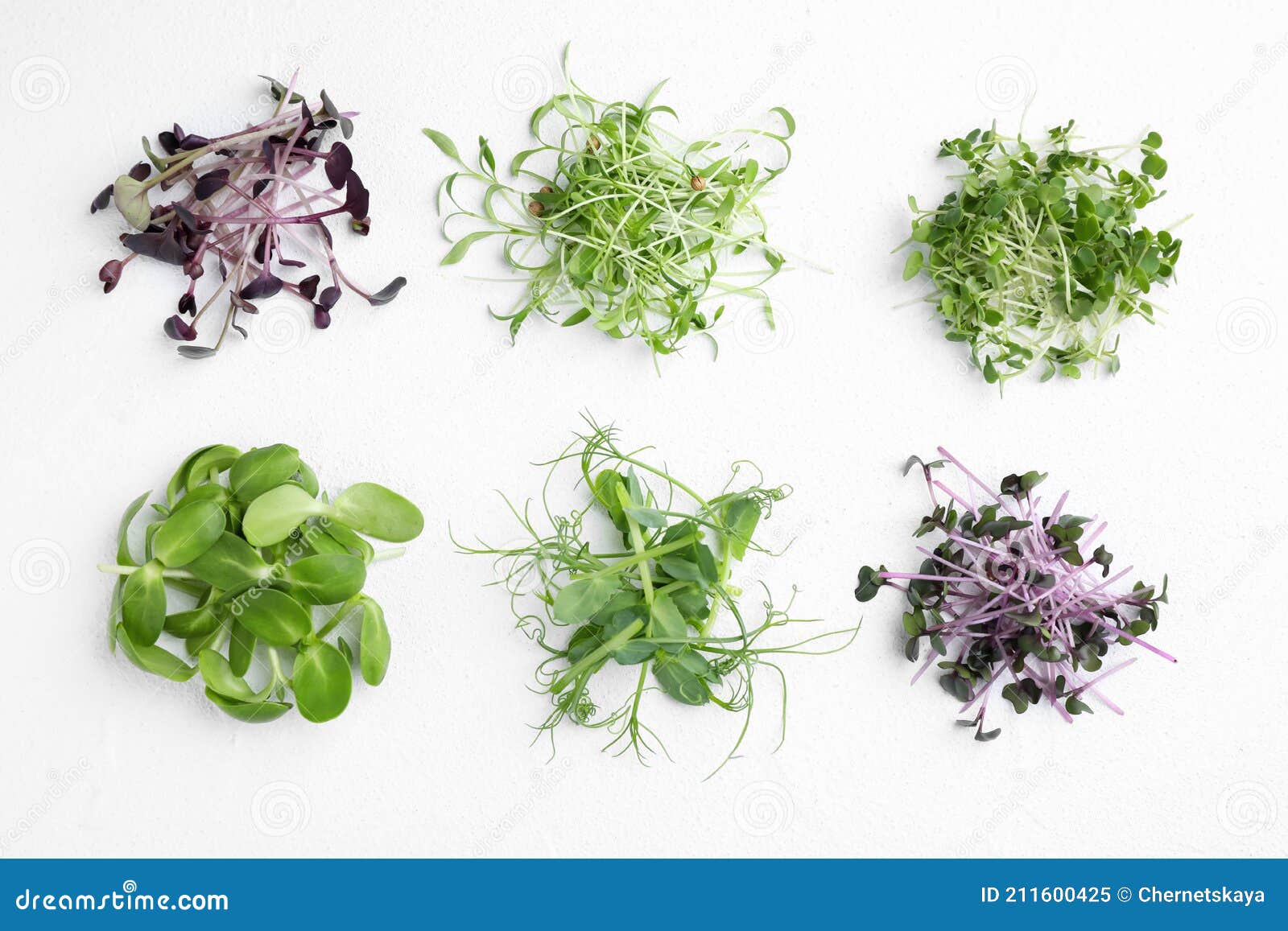 Different Microgreens on White Background, Top View Stock Image - Image ...