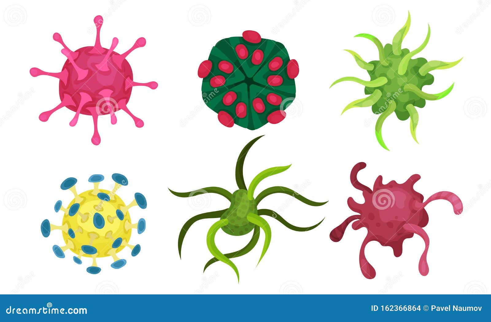 Different Microorganisms Isolated on White Background Vector ...