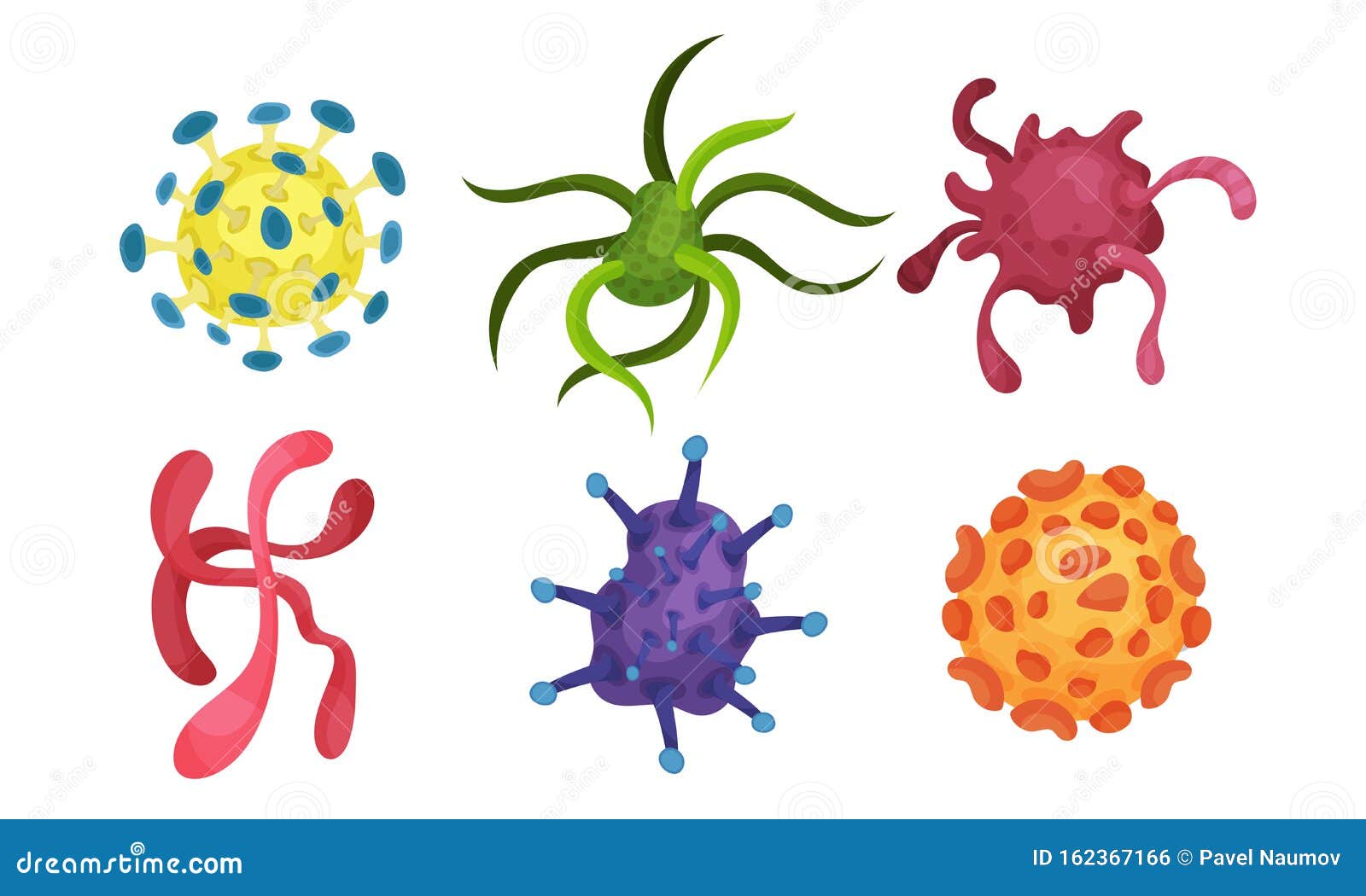 Different Microorganisms Isolated on White Background Vector ...