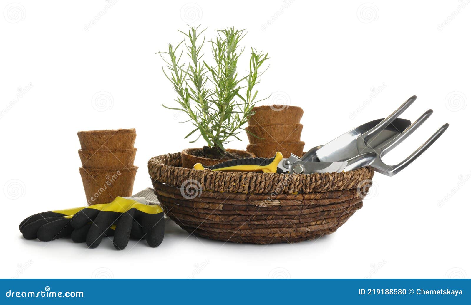 Different Modern Gardening Tools on White Background Stock Photo ...