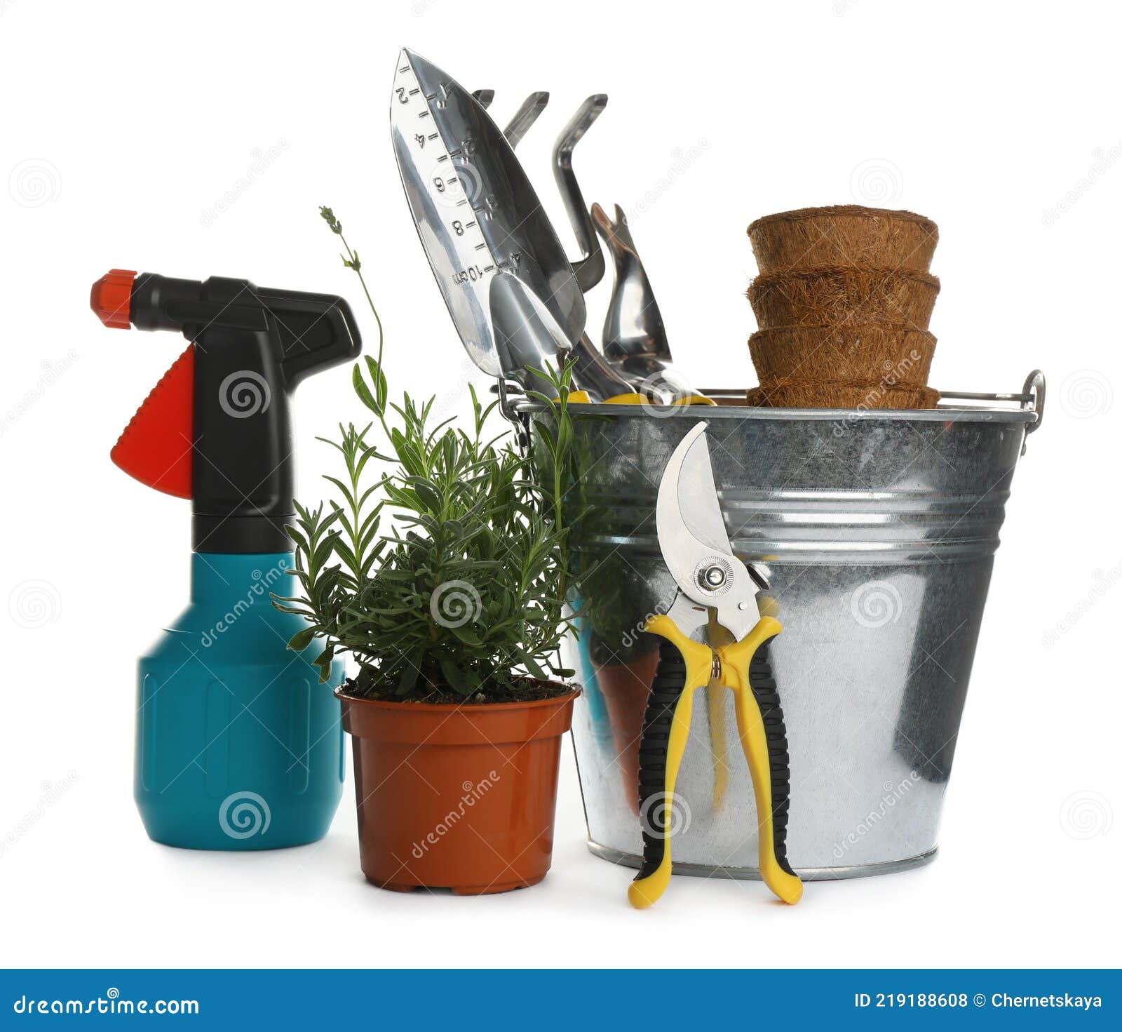 Different Modern Gardening Tools on White Background Stock Photo ...