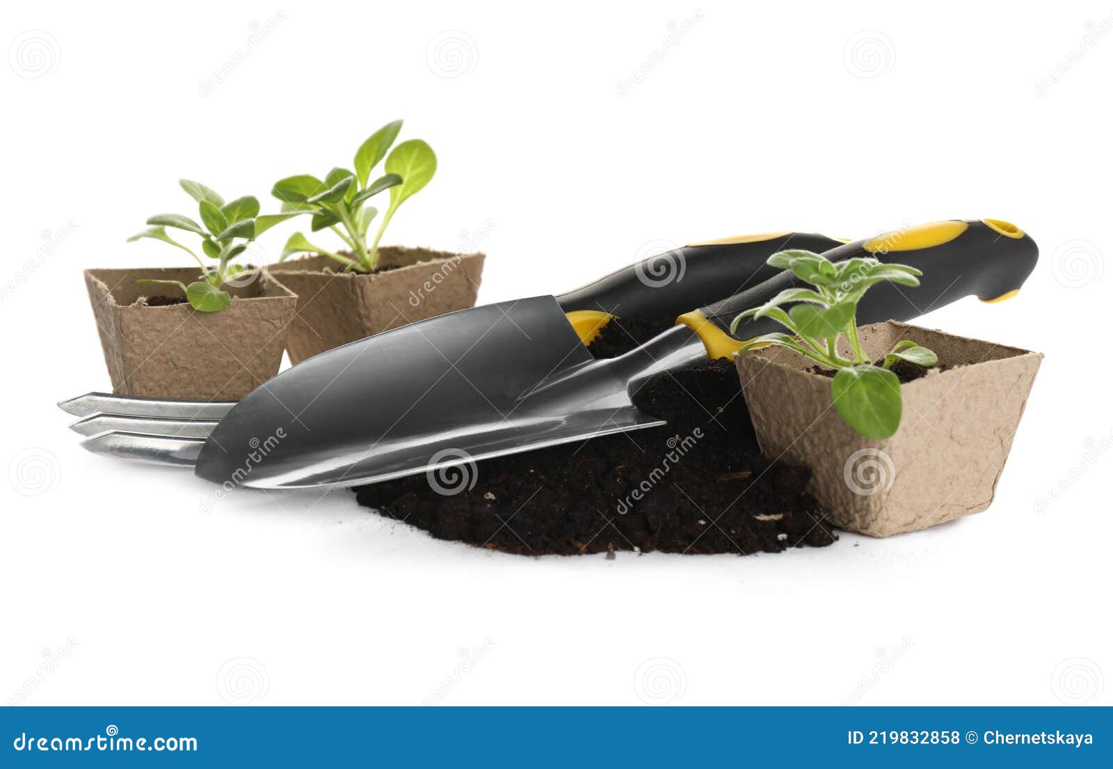 Different Modern Gardening Tools on White Background Stock Photo ...