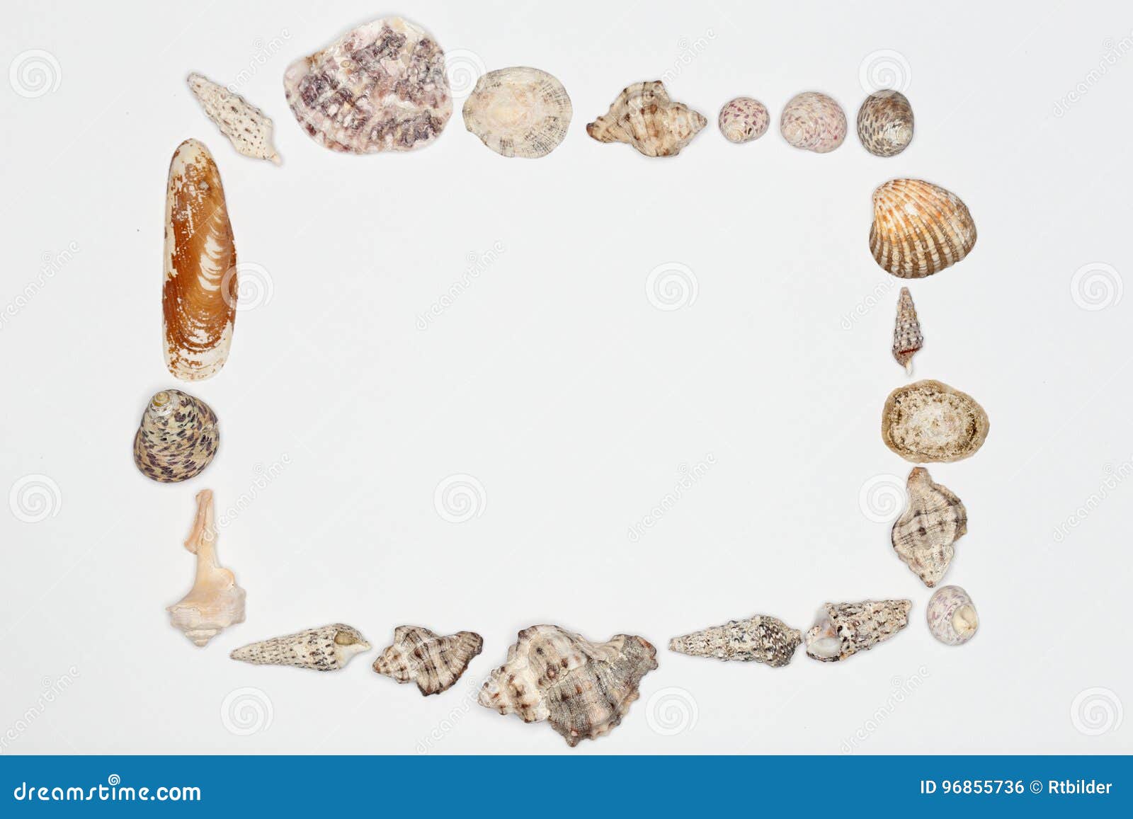 Different mussels as frame stock photo. Image of decoration - 96855736
