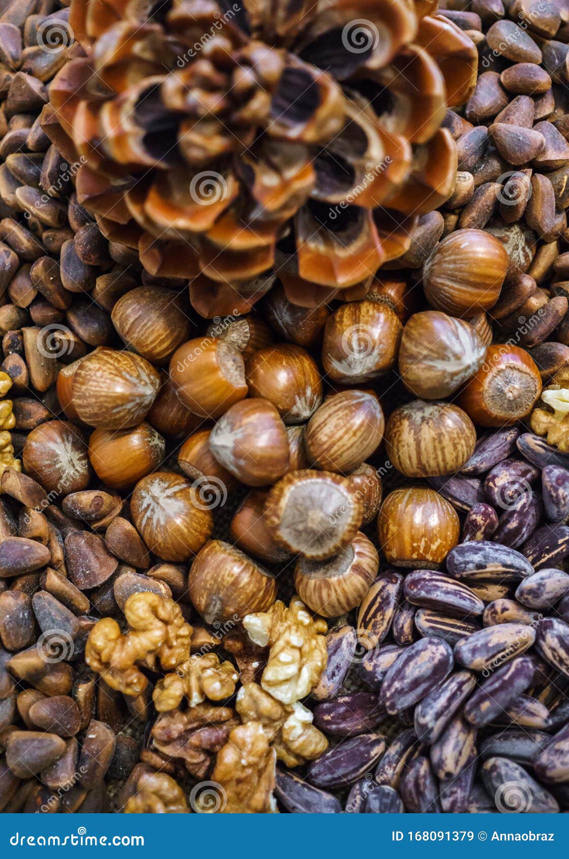 Different Nuts in the Shell and without it Scattered on the Table Stock ...