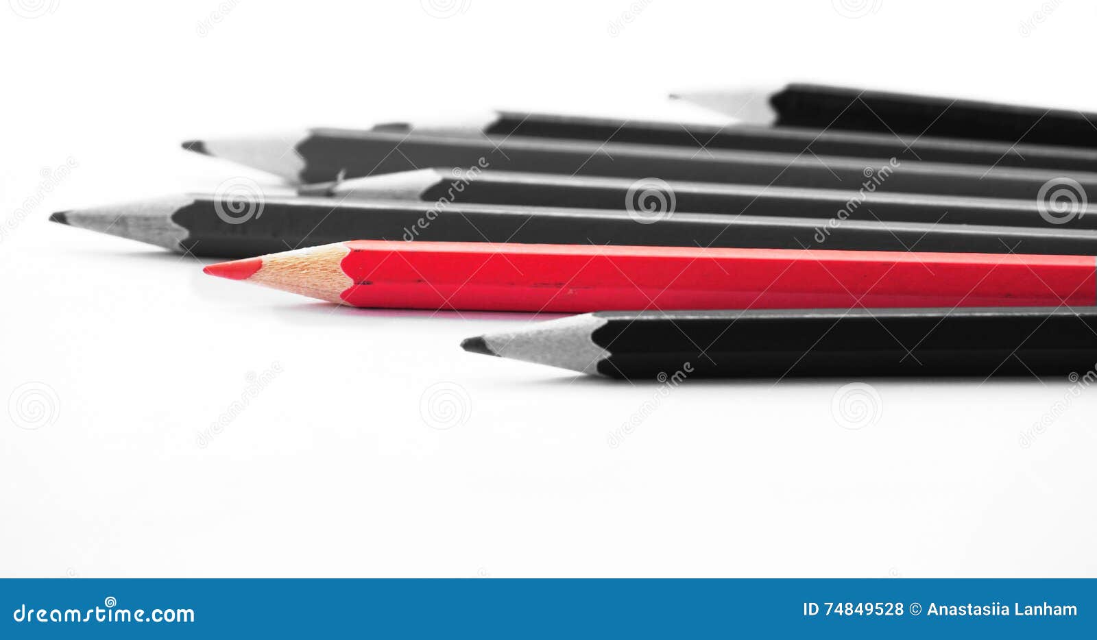Different One. Pencils Over White Background Stock Photo - Image of ...