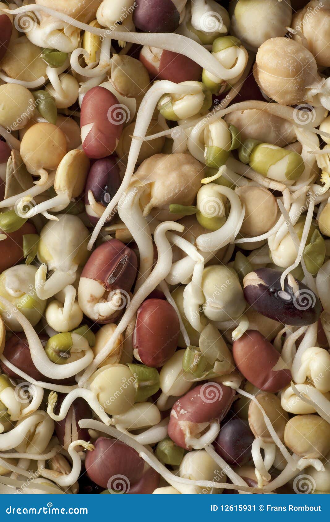 Different organic sprouts stock image. Image of background - 12615931