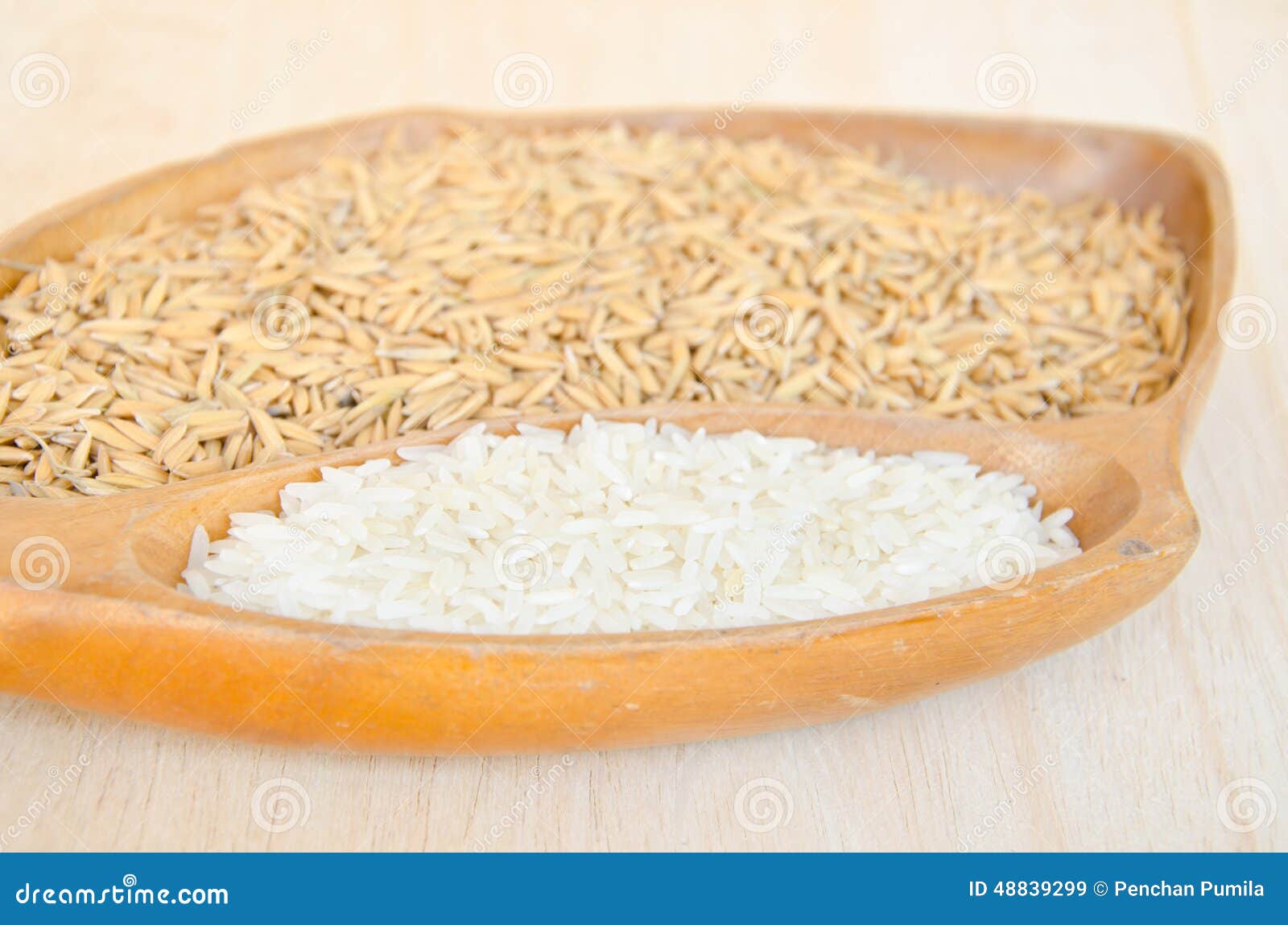 Different of Paddy and Raw Rice in Wooden Bowl. Stock Image - Image of ...