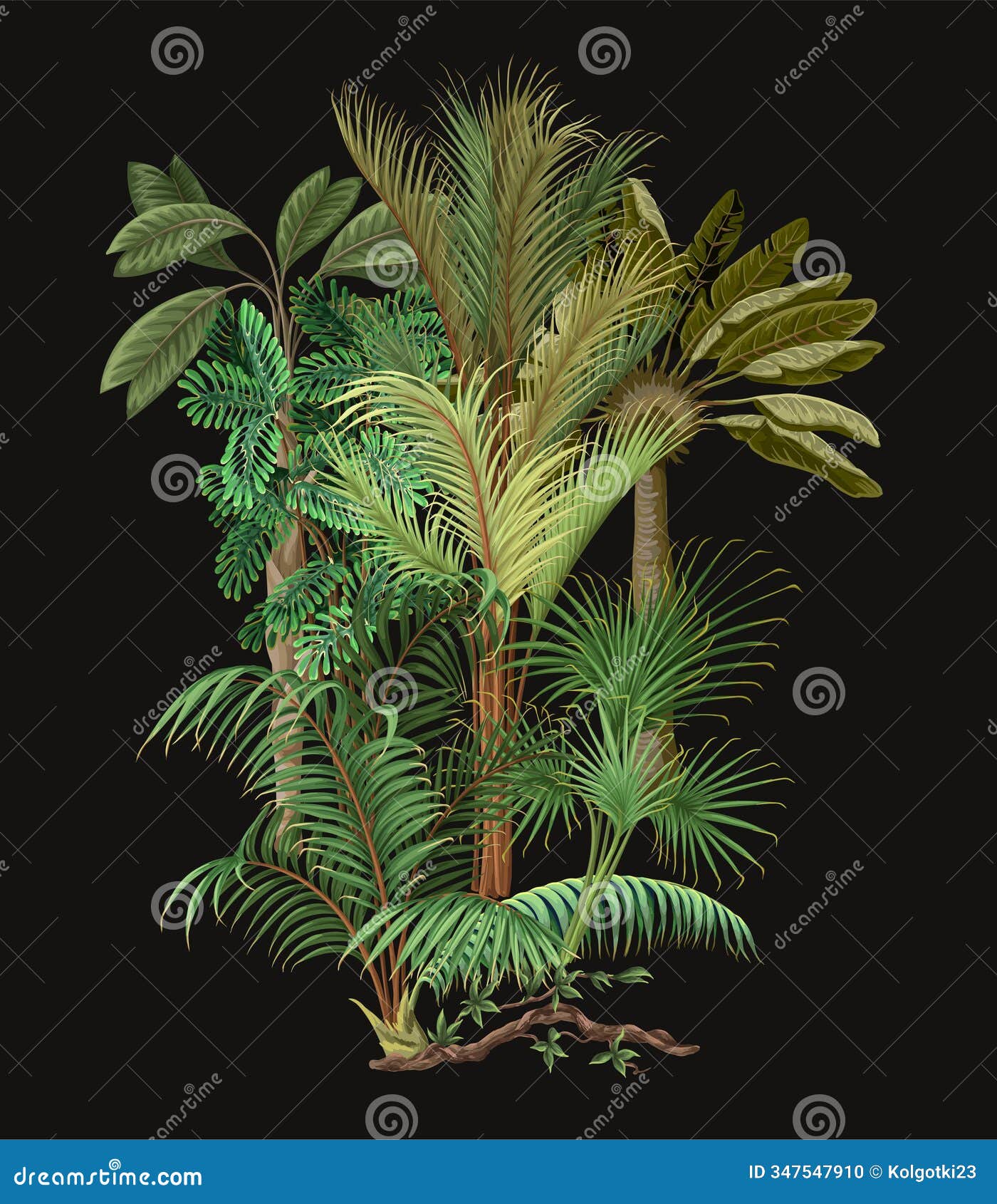 Different Palm Trees Isolated. Tropical Vector. Stock Vector ...