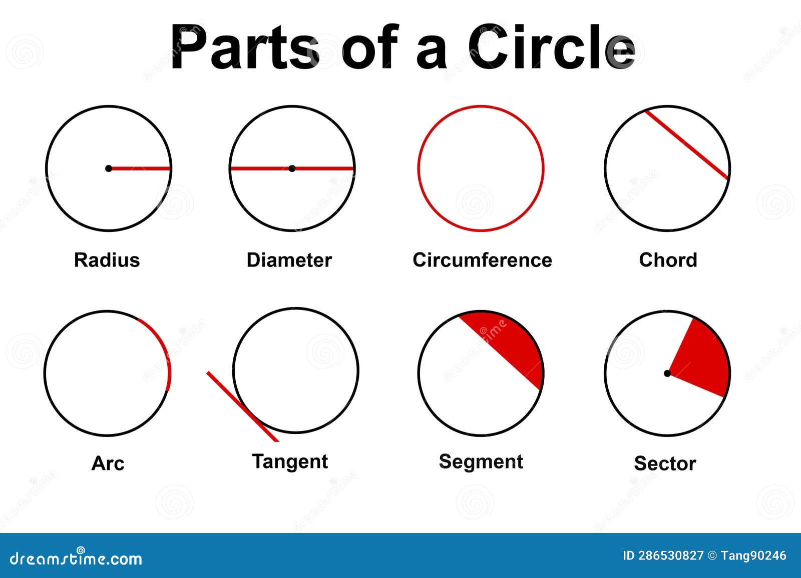 The Different Parts of a Circle Stock Illustration - Illustration of ...