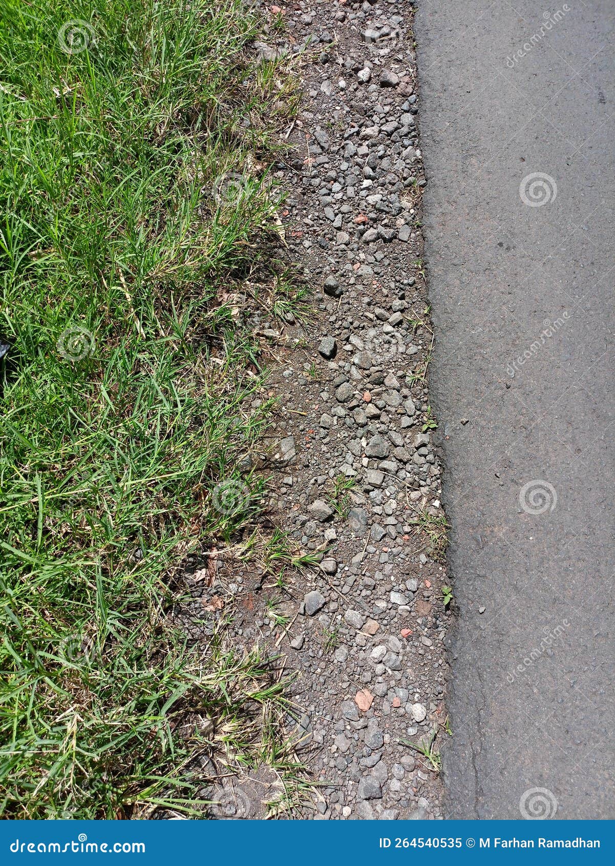 3 different paths stock image. Image of grass, road - 264540535