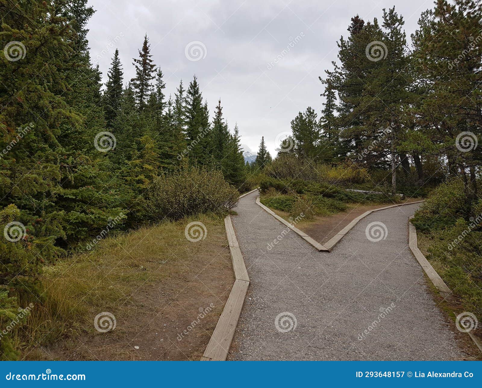 Different paths stock image. Image of road, ridge, trail - 293648157