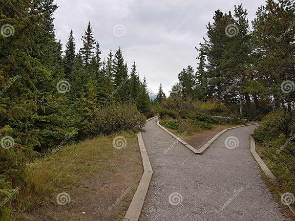 Different paths stock image. Image of road, ridge, trail - 293648157
