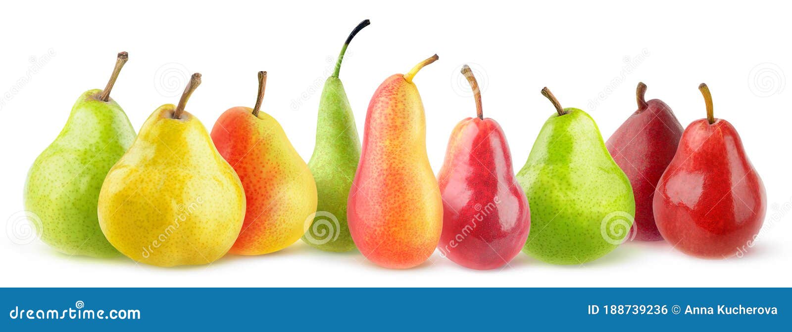 Different Pears Isolated Panorama Stock Photo - Image of pink, blush ...