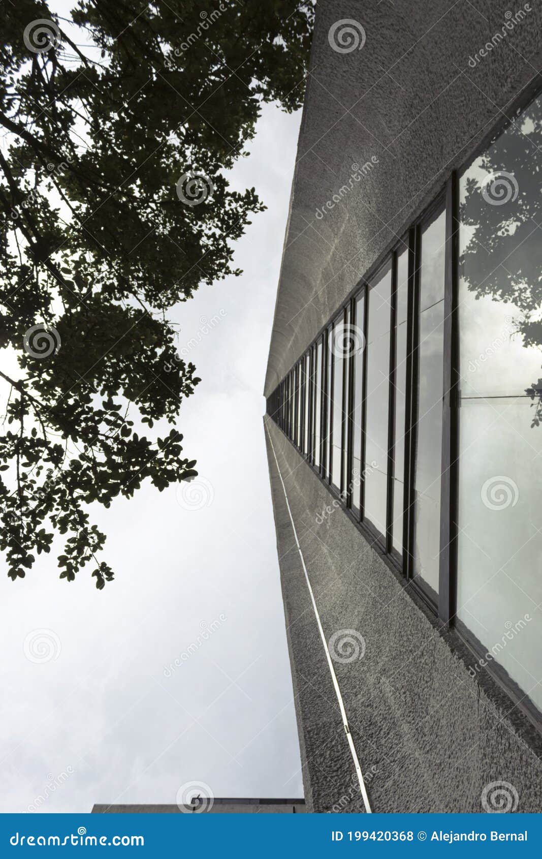 Different Perspective and Low Angle View of a Skyscraper with Window ...