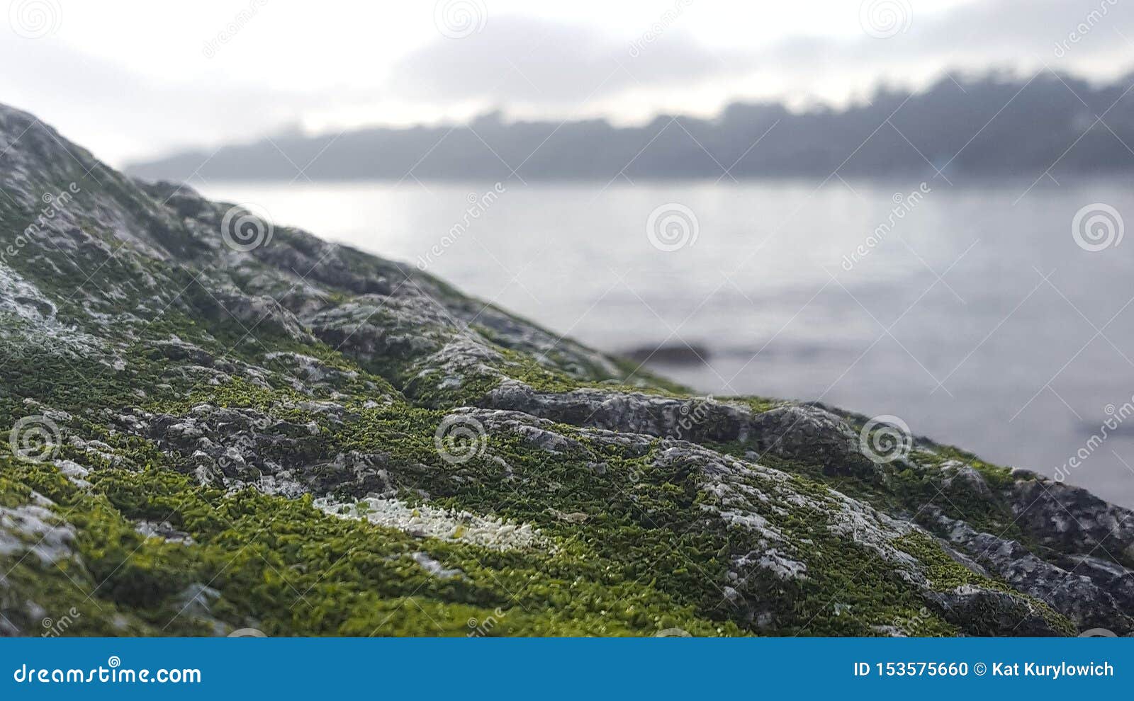 Different Perspective of Victoria Beach Stock Photo - Image of rocky ...