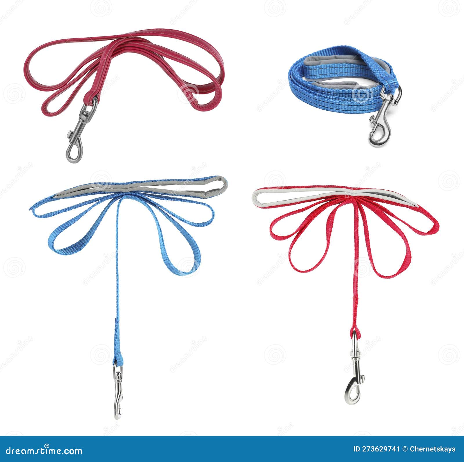 Different Pet Leashes on White Background, Collage Design Stock Image ...