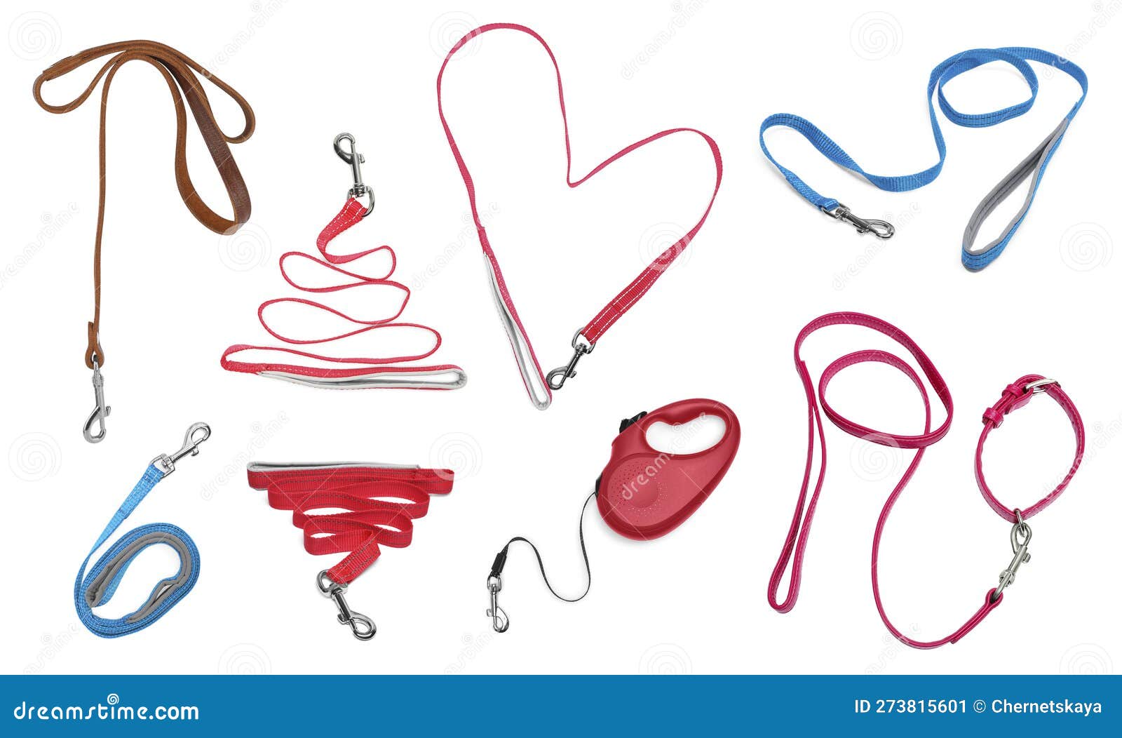 Different Pet Leashes on White Background, Collage Design Stock Image ...