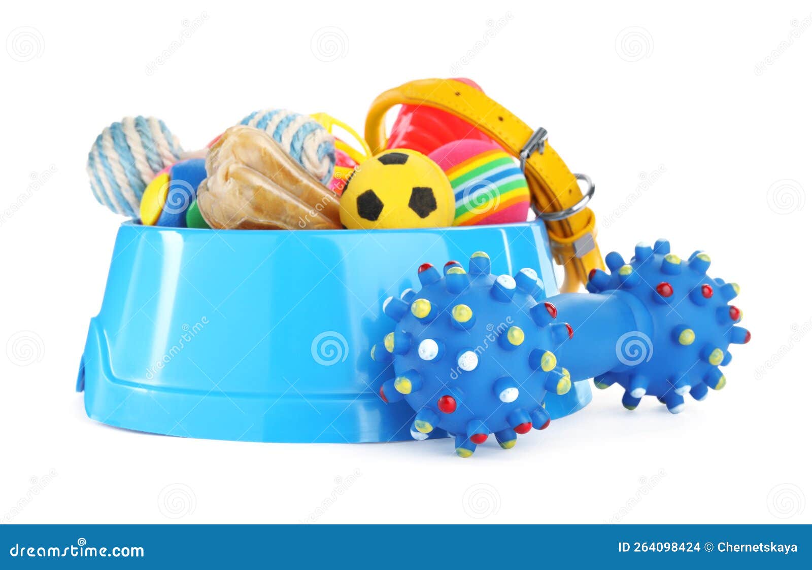 Different Pet Toys and Accessories Isolated on White Stock Photo ...